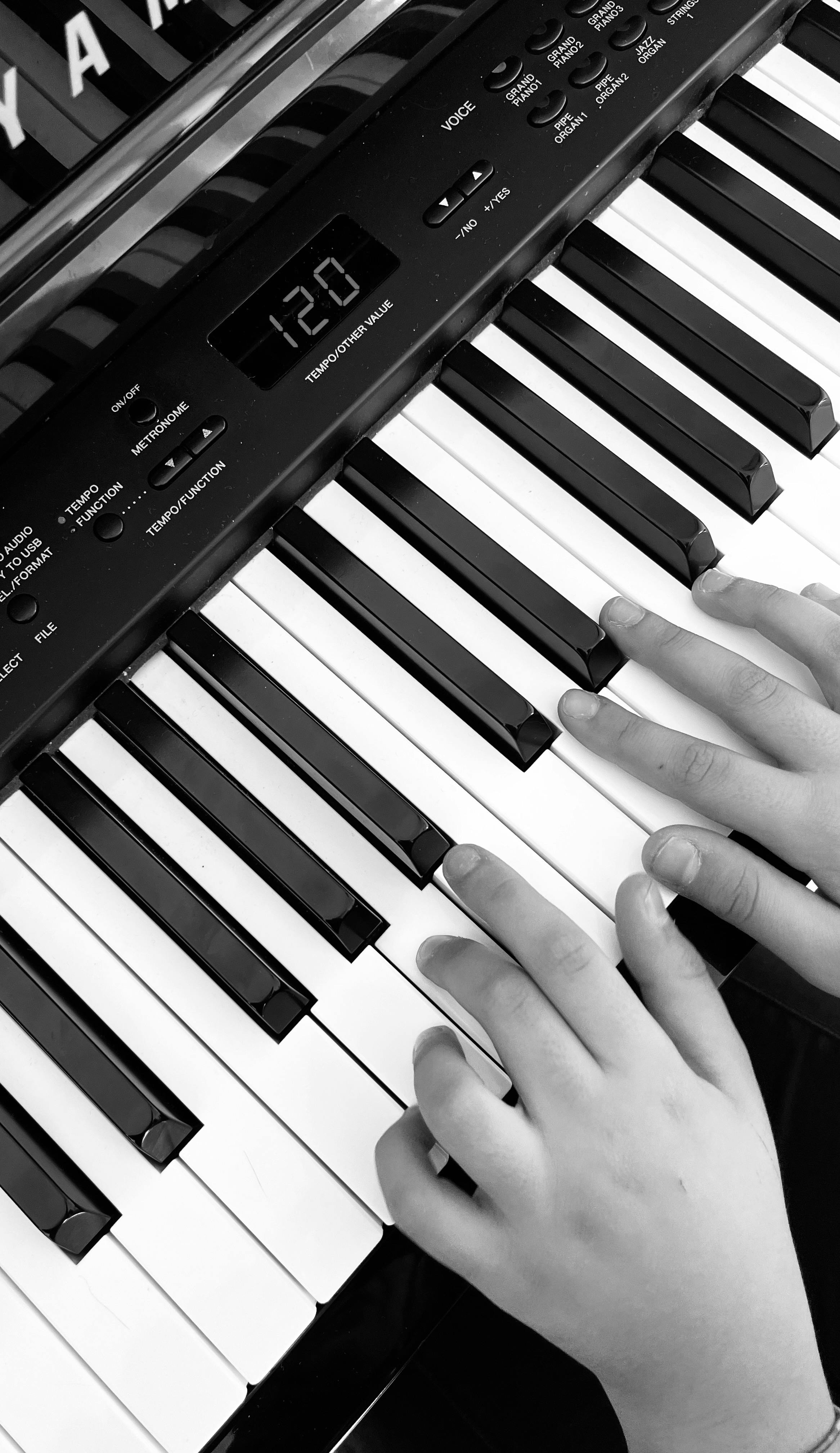 W+Mmmmmm Photos, Download The BEST Free W+Mmmmmm Stock Photos & HD Images