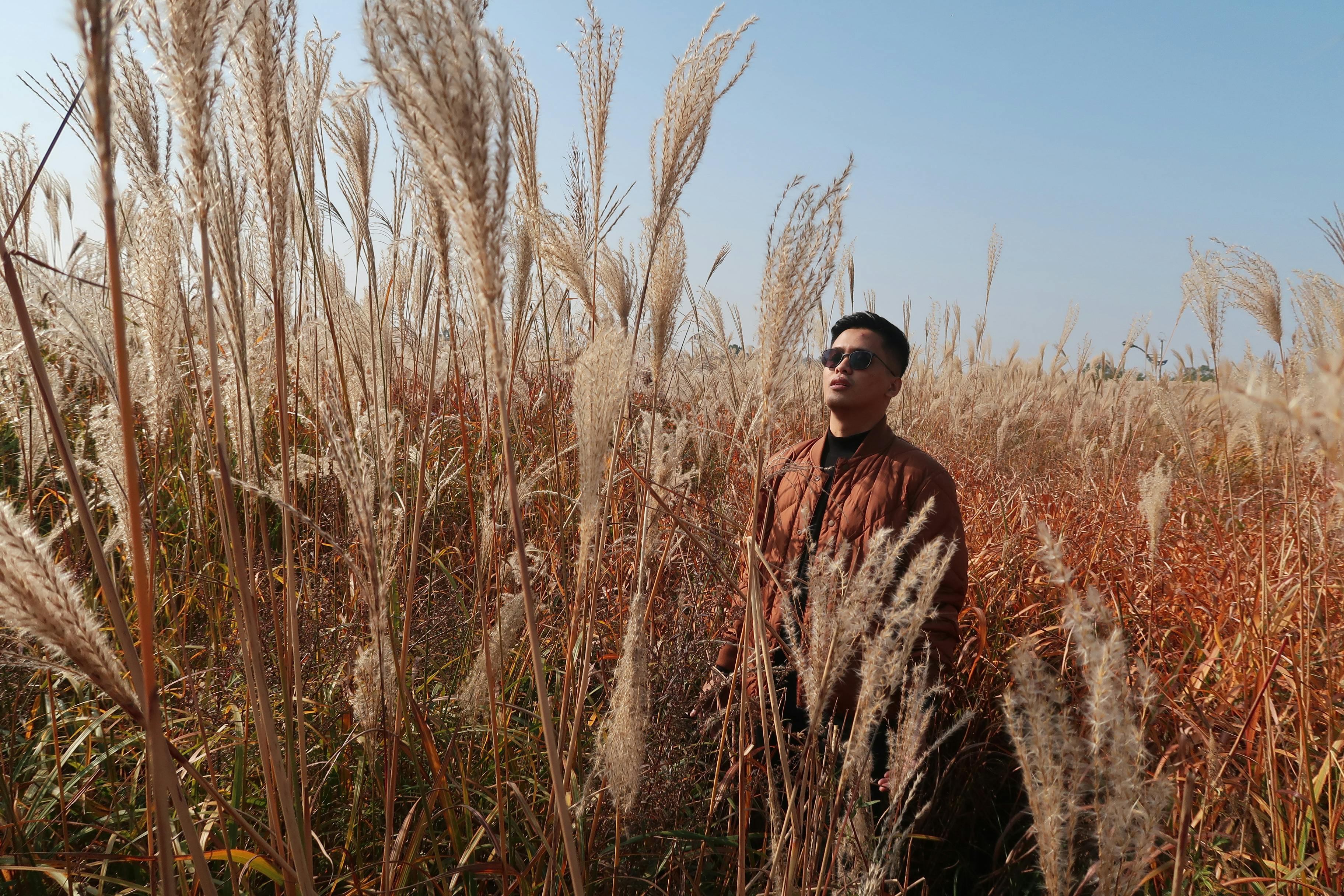 A Young Man Standing in a Tall Grass Field · Free Stock Photo