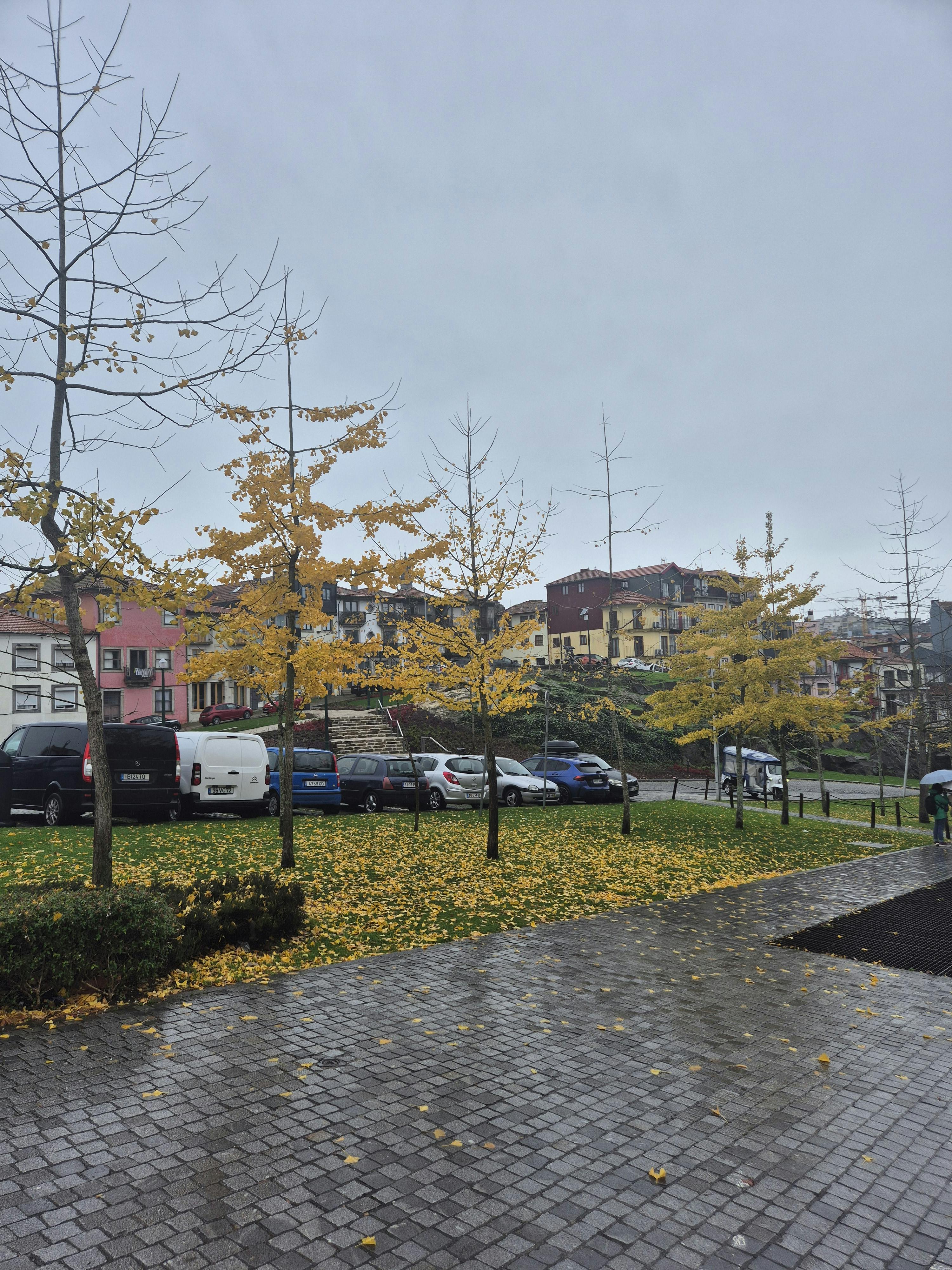 Suman Malla - 写真