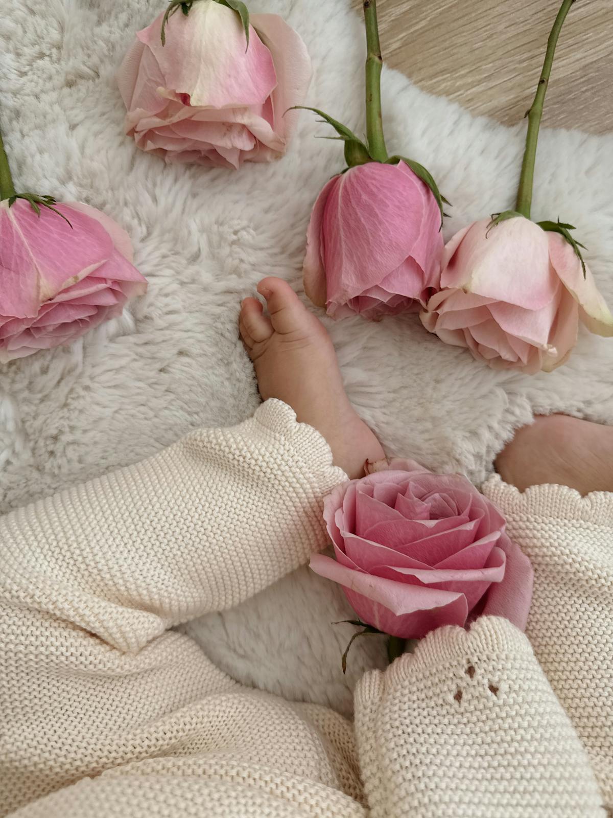 Shrek+Feet Photos, Download The BEST Free Shrek+Feet Stock Photos & HD ...