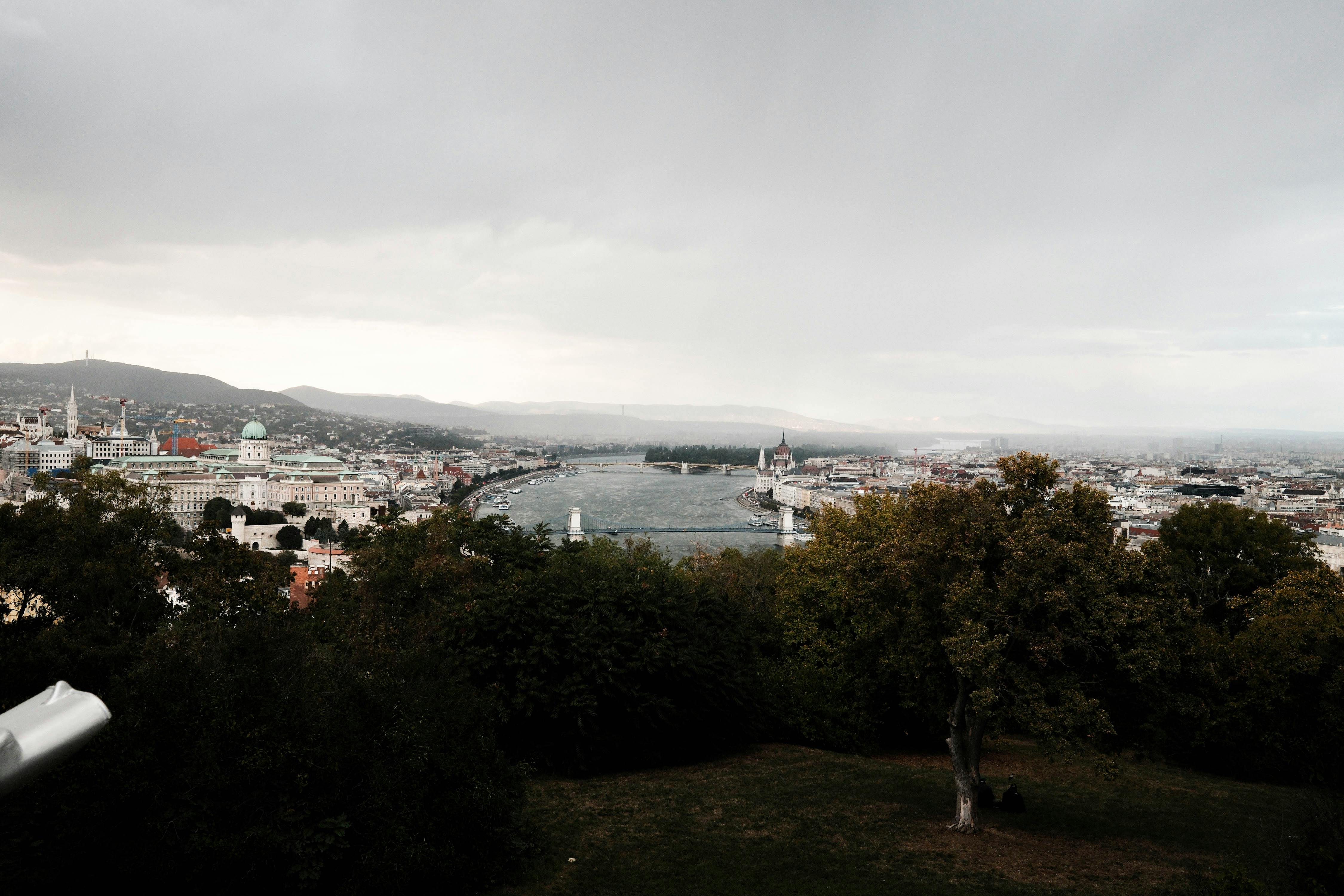 Clash+Royale+Pfp Photos, Download The BEST Free Clash+Royale+Pfp Stock ...