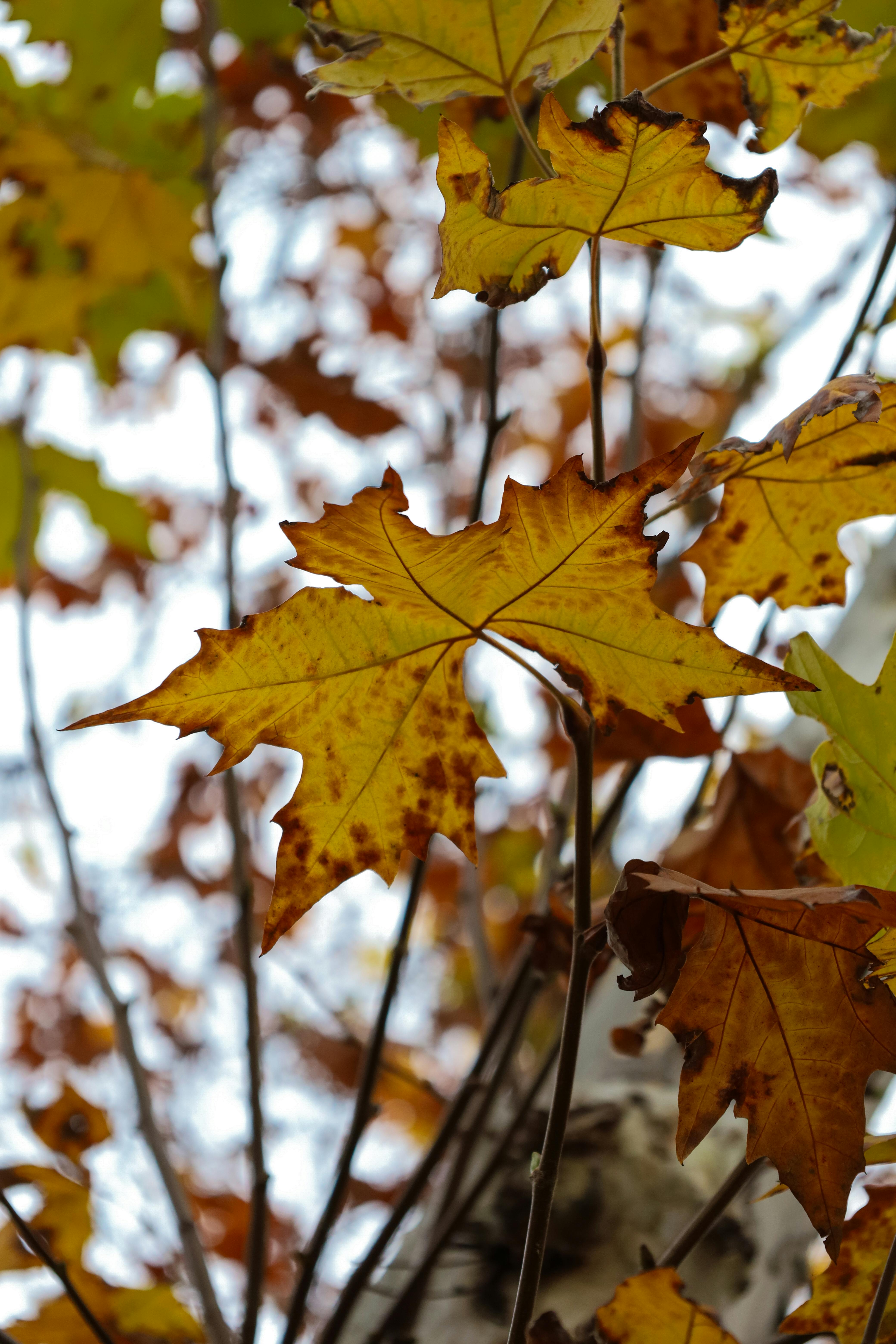 Keyshot Background Photos, Download The BEST Free Keyshot Background ...