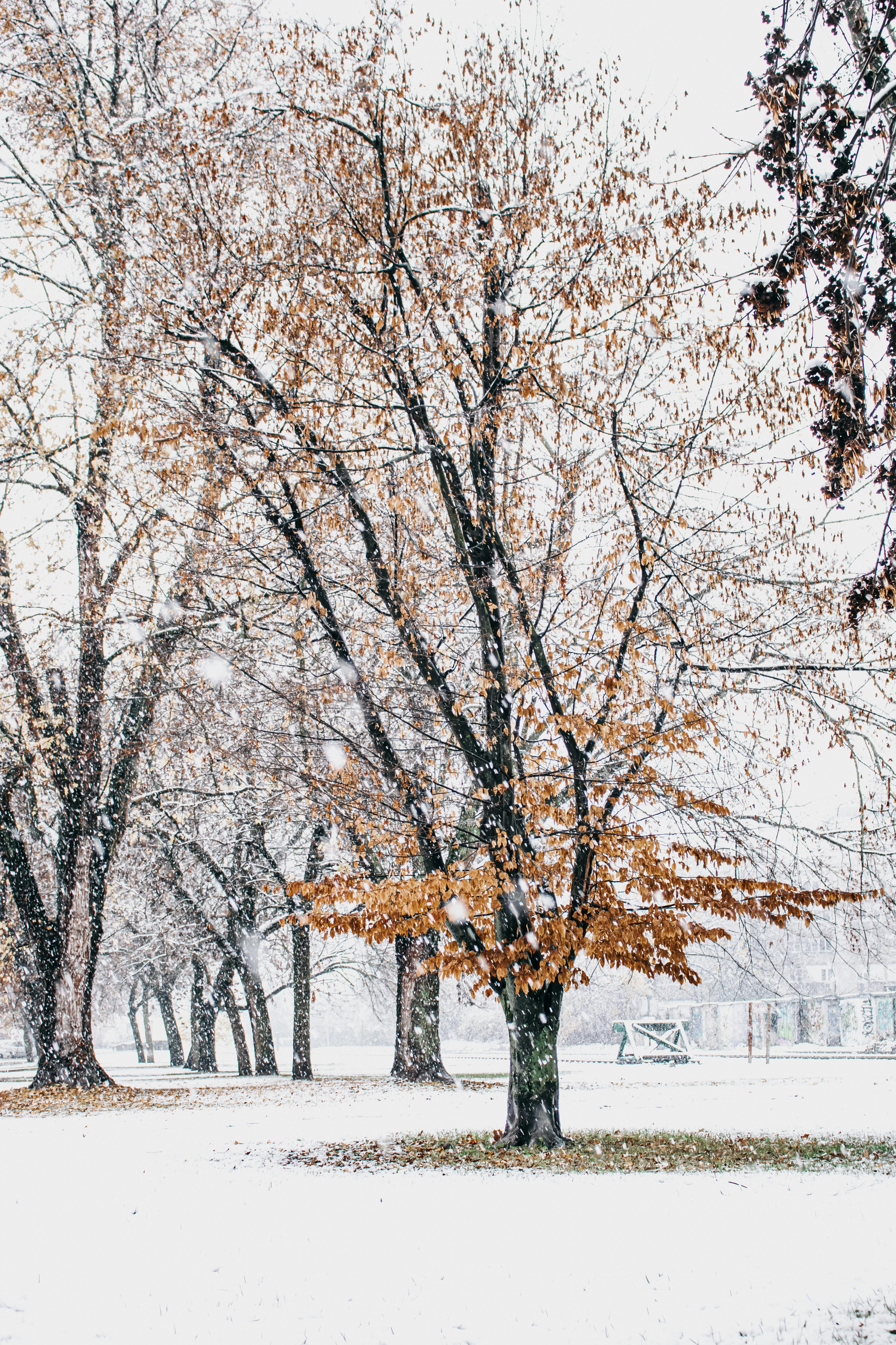 Keyshot Background Photos, Download The BEST Free Keyshot Background ...