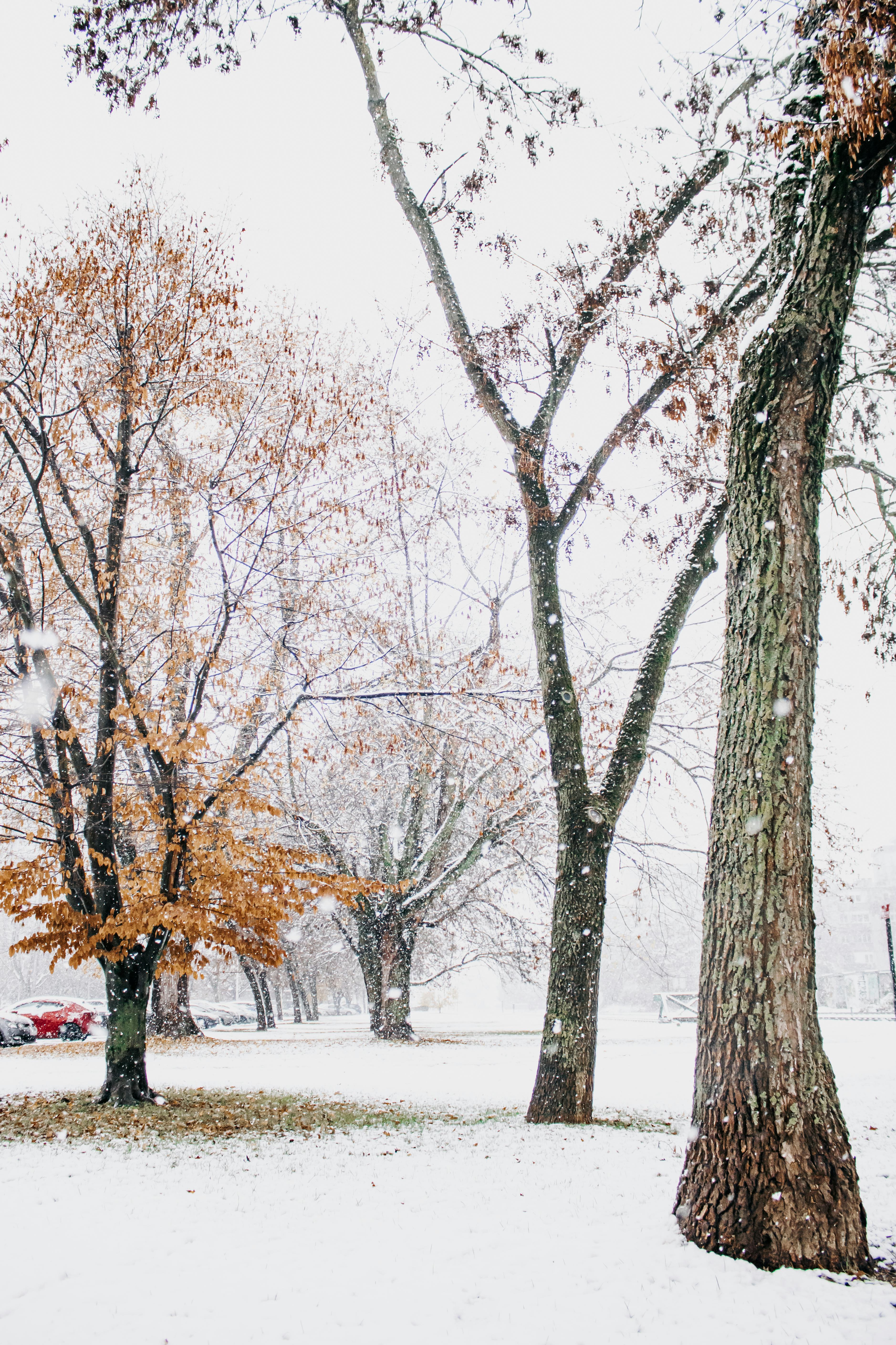 January Vibes Photos, Download The BEST Free January Vibes Stock Photos ...