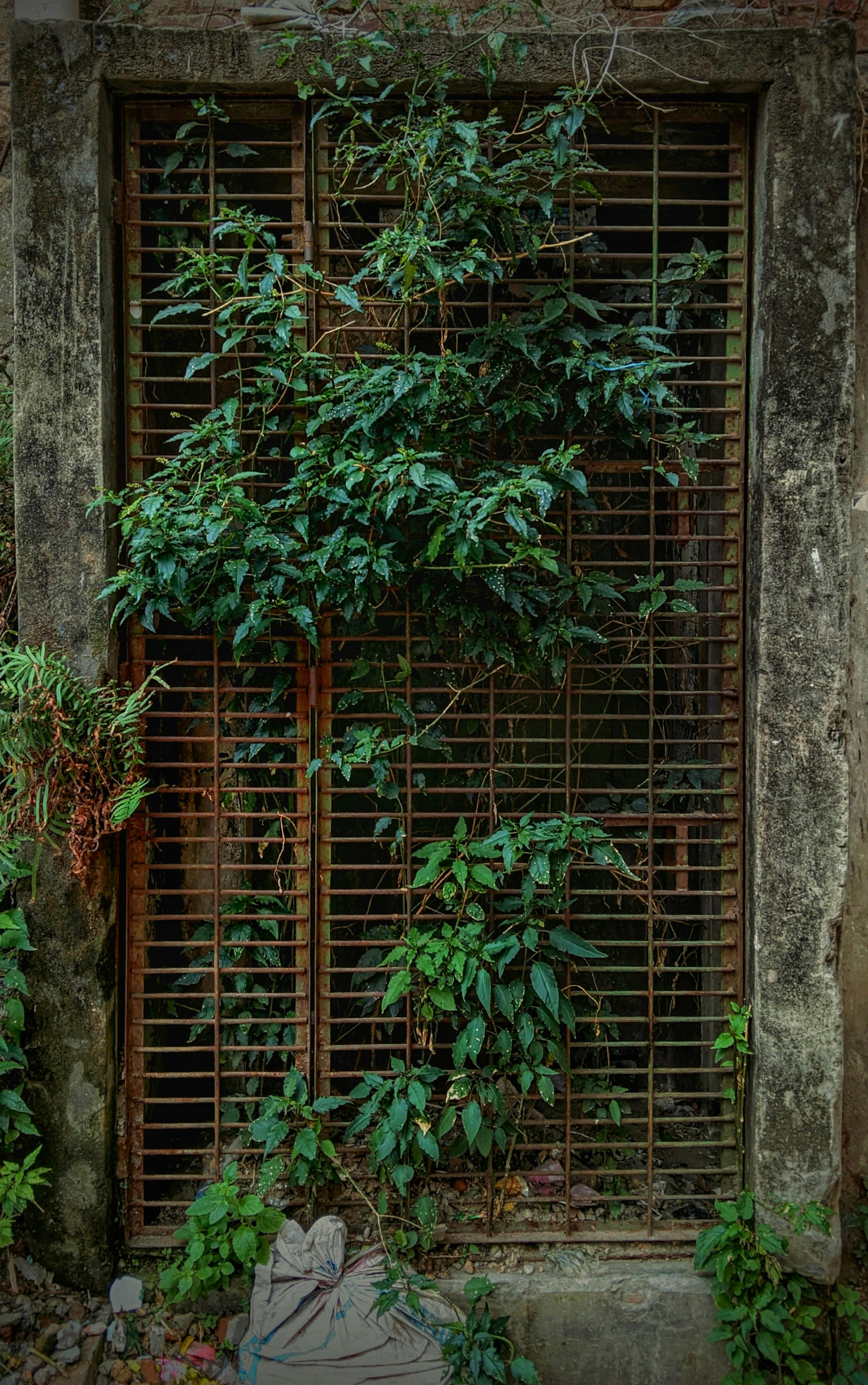 The Takeover Photos, Download The BEST Free The Takeover Stock Photos ...