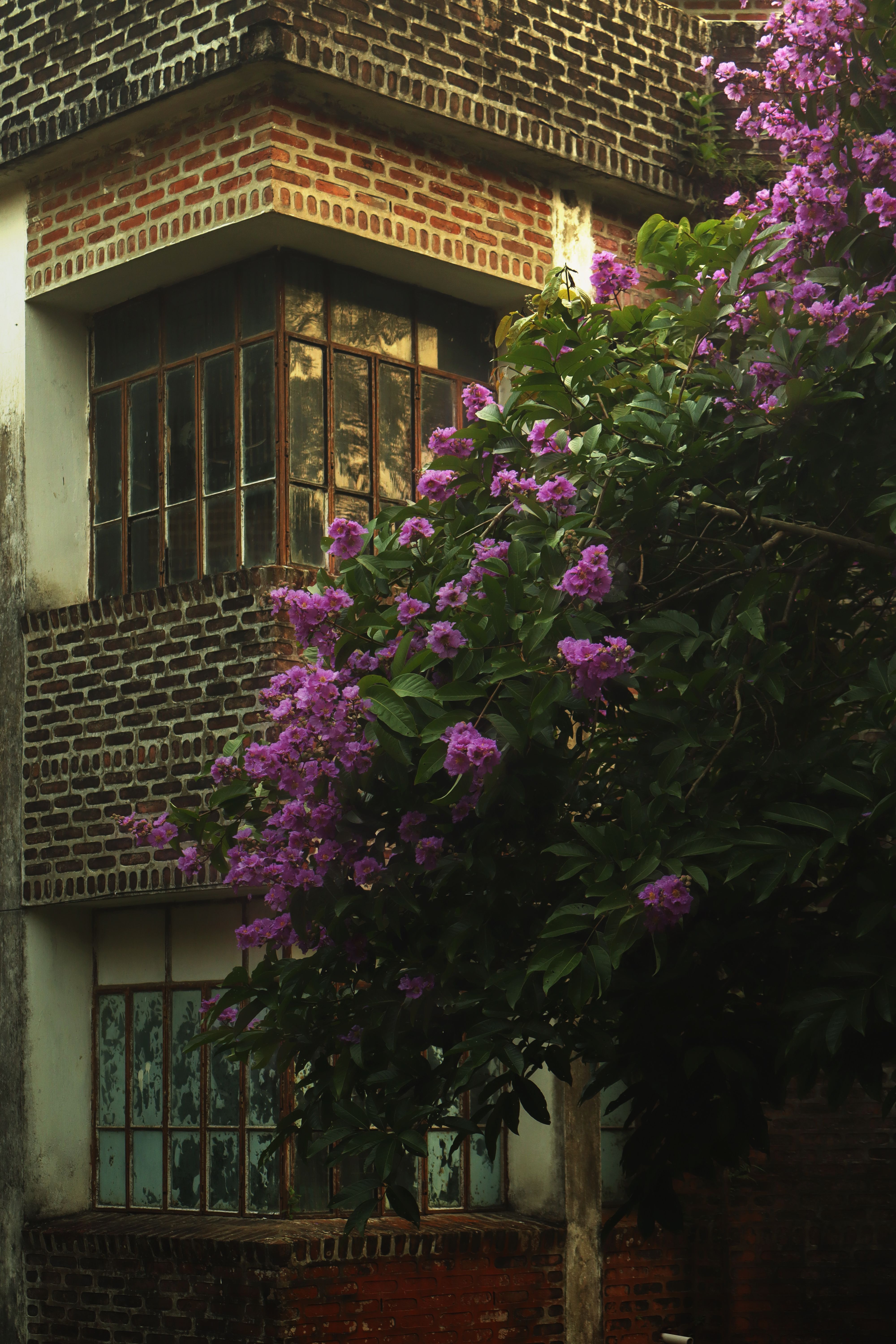 Beautiful Corner Photos, Download The BEST Free Beautiful Corner Stock ...