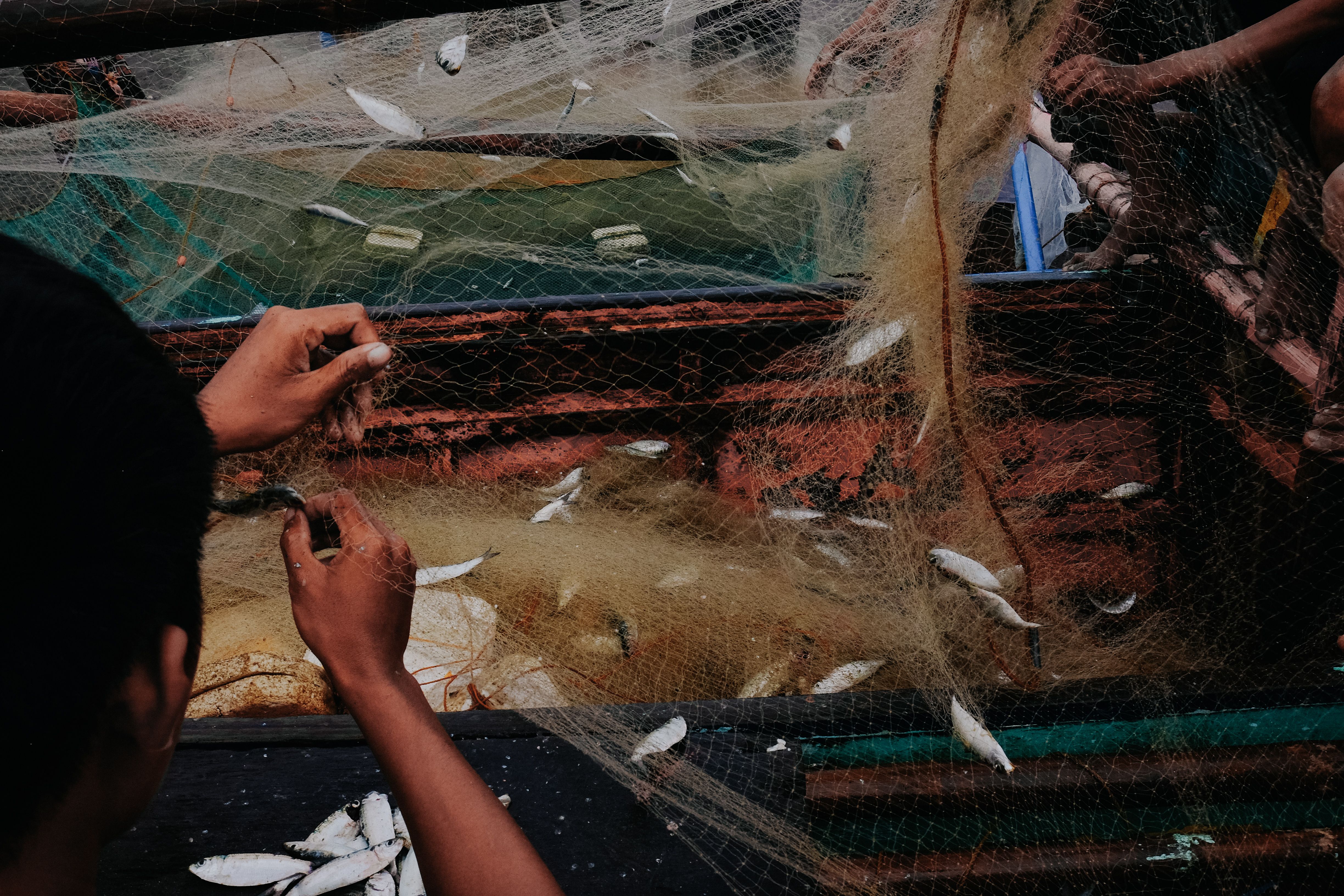 Fisherman Sorting Catch from Fishing Net on Boat · Free Stock Photo