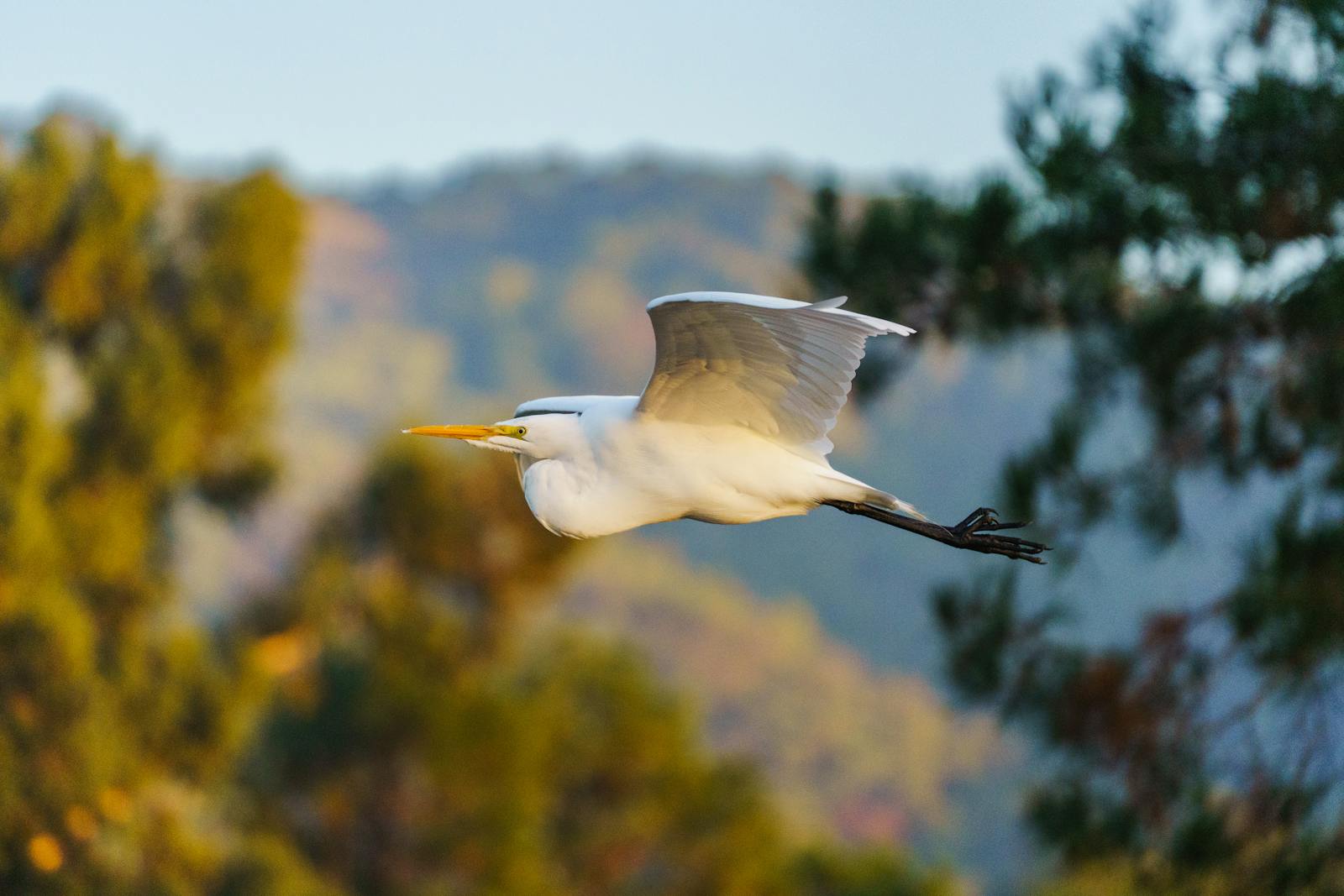 Free Pinterest Photos, Download The BEST Free Free Pinterest Stock ...