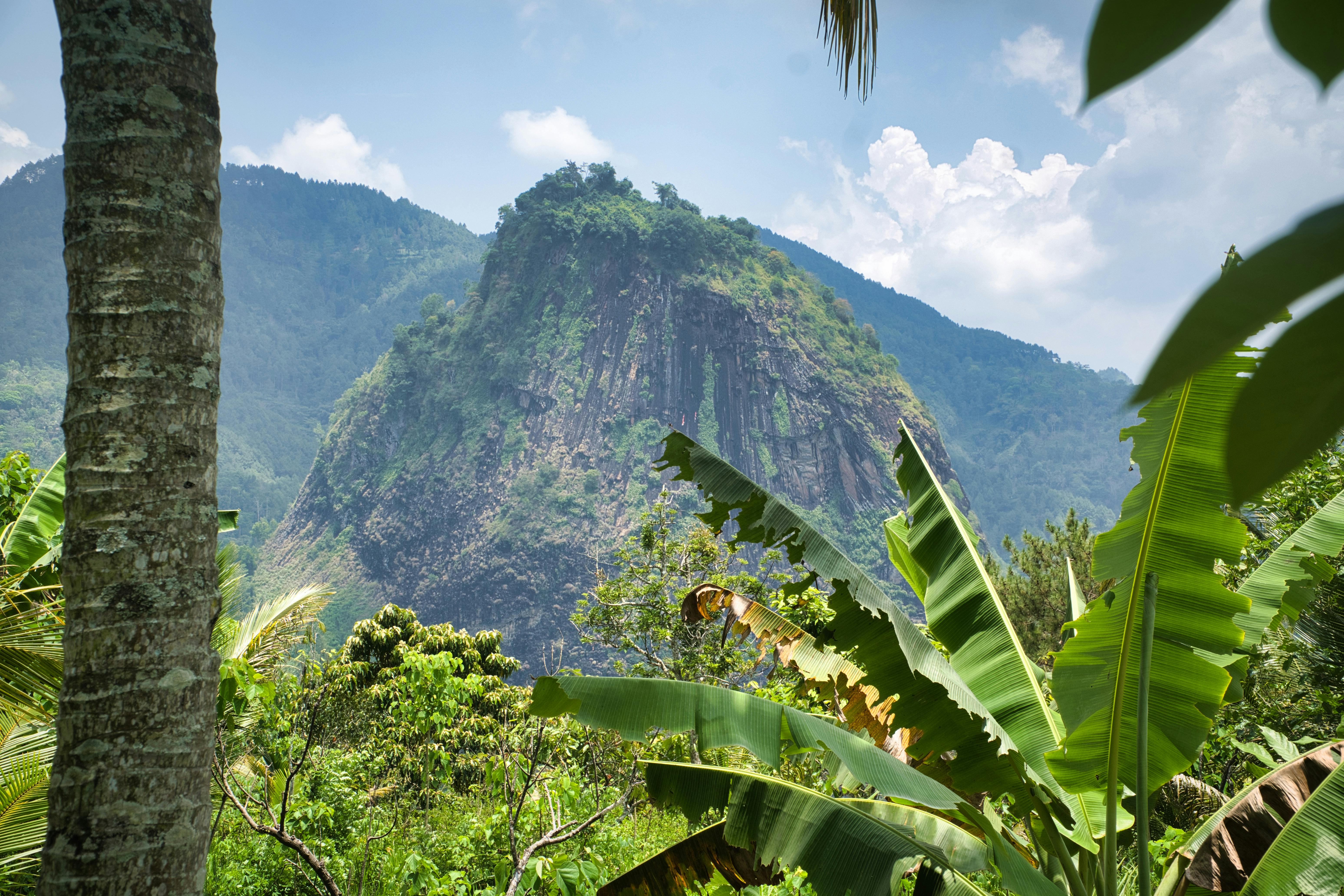 Bajrang Bali Photos, Download The BEST Free Bajrang Bali Stock Photos ...