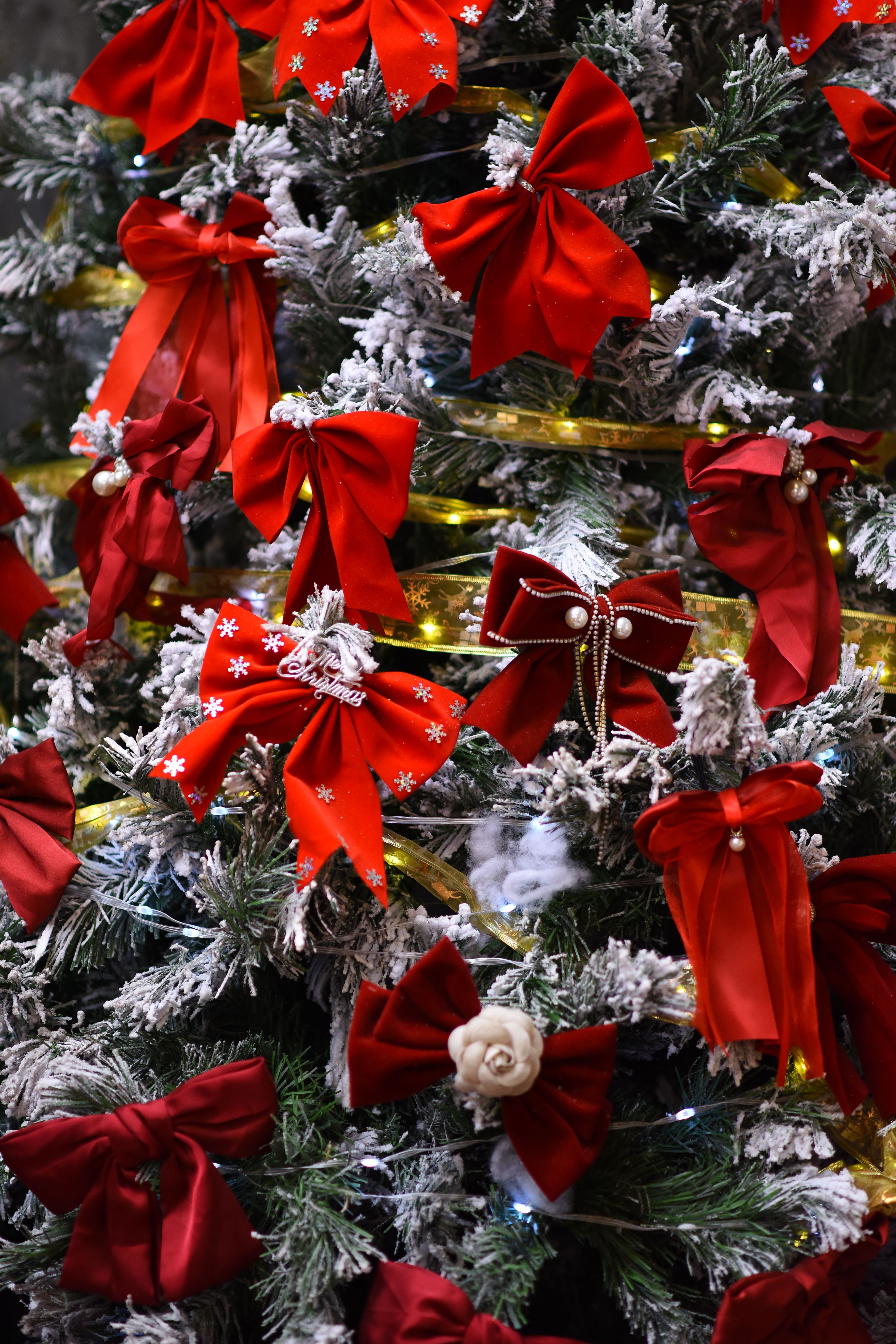 Festive Christmas Tree with Red Bows and Frosted Branches · Free Stock ...