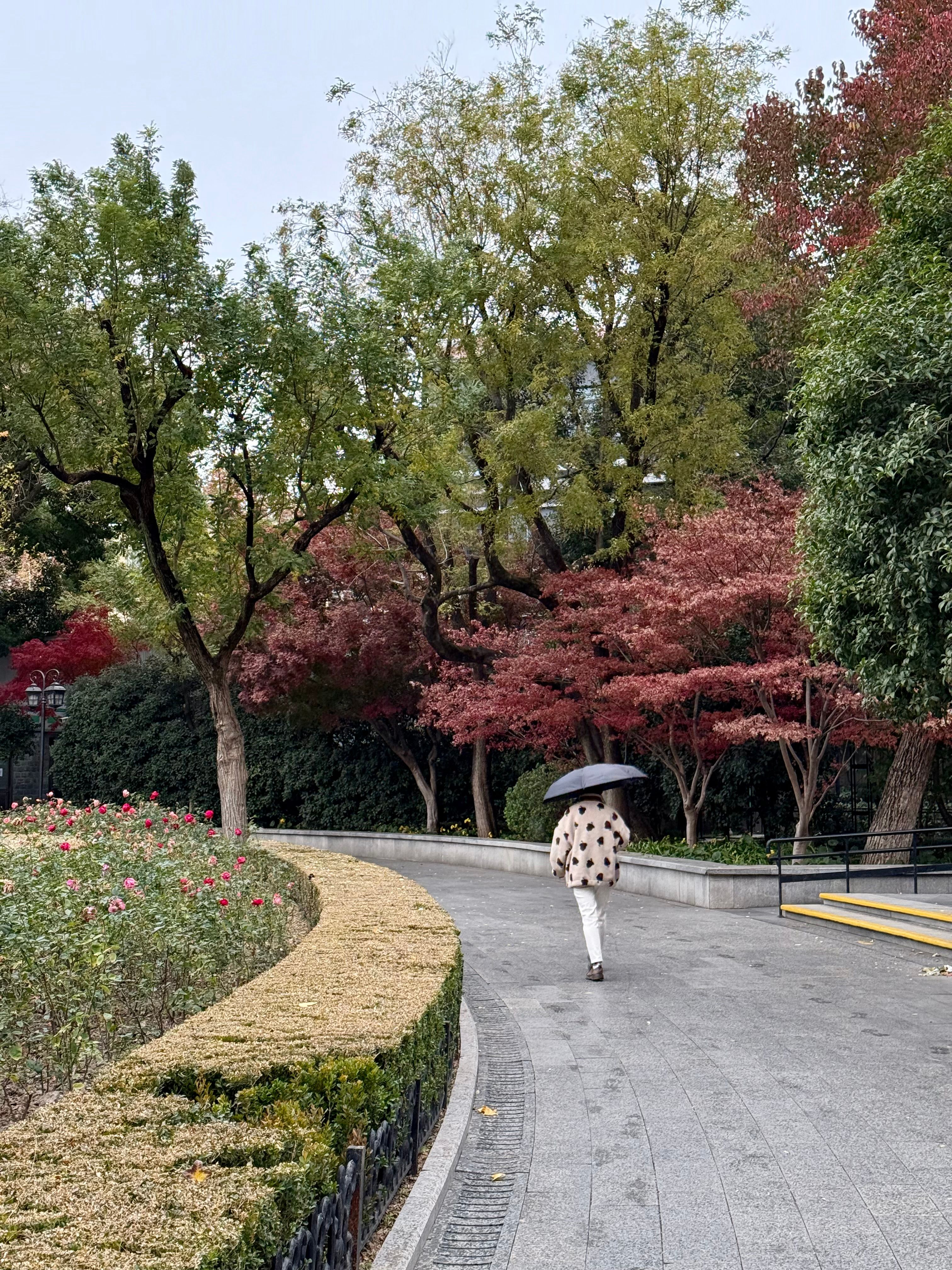 Autumn Stroll in Scenic Shanghai Park · Free Stock Photo