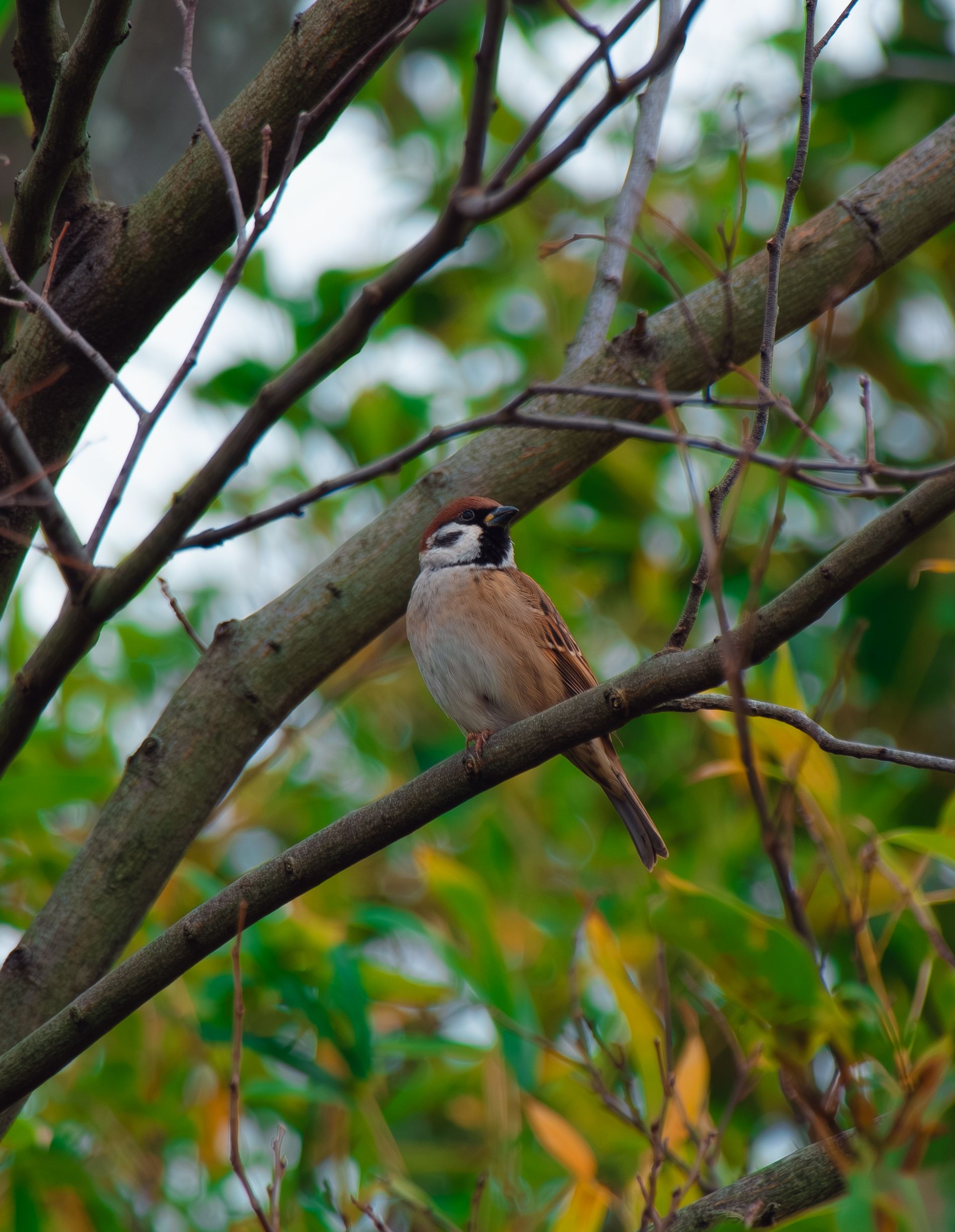 1312 X 560px Minimum Photos, Download The BEST Free 1312 X 560px ...