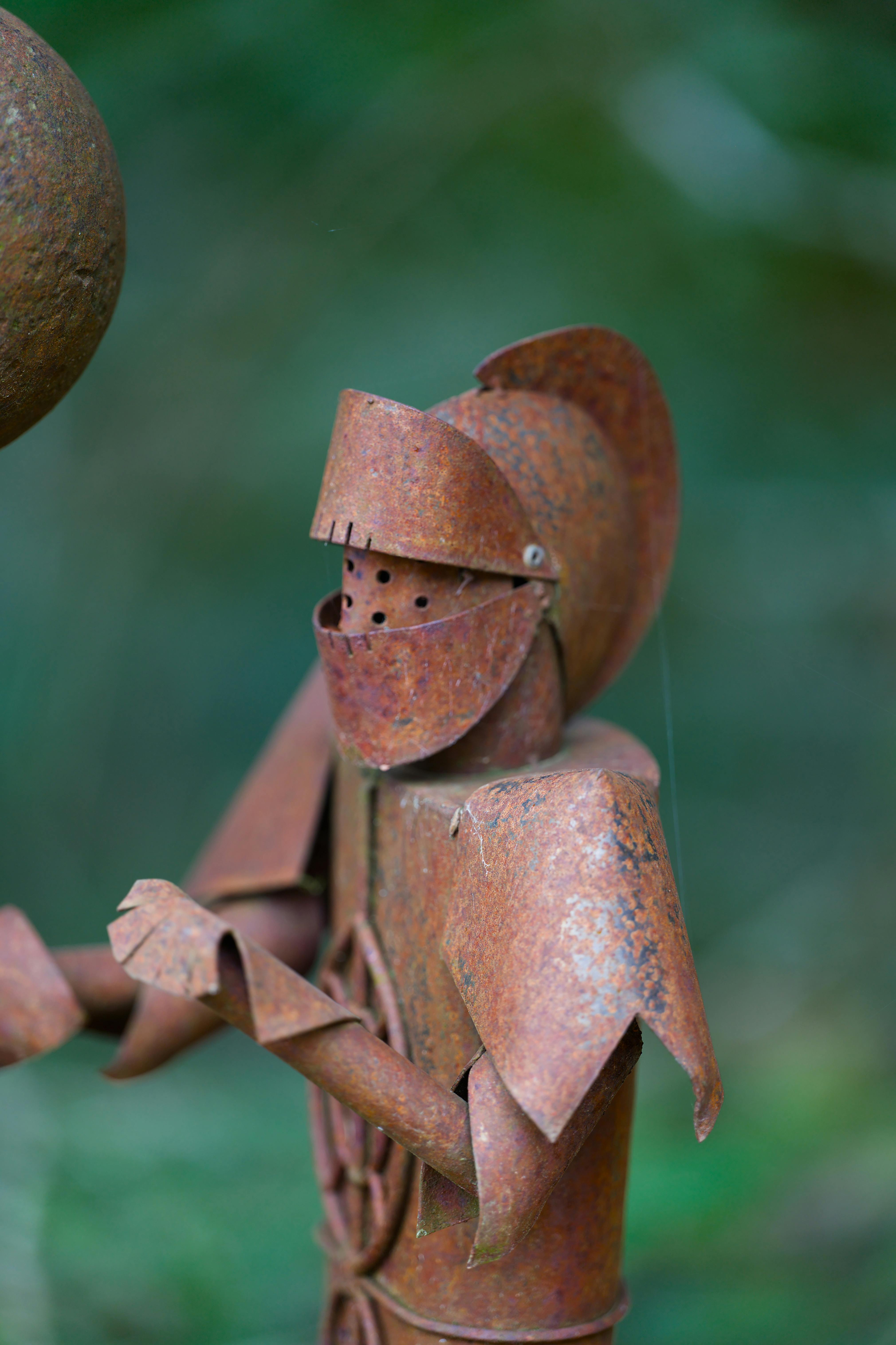 Adaptation Photos, Download The BEST Free Adaptation Stock Photos & HD ...