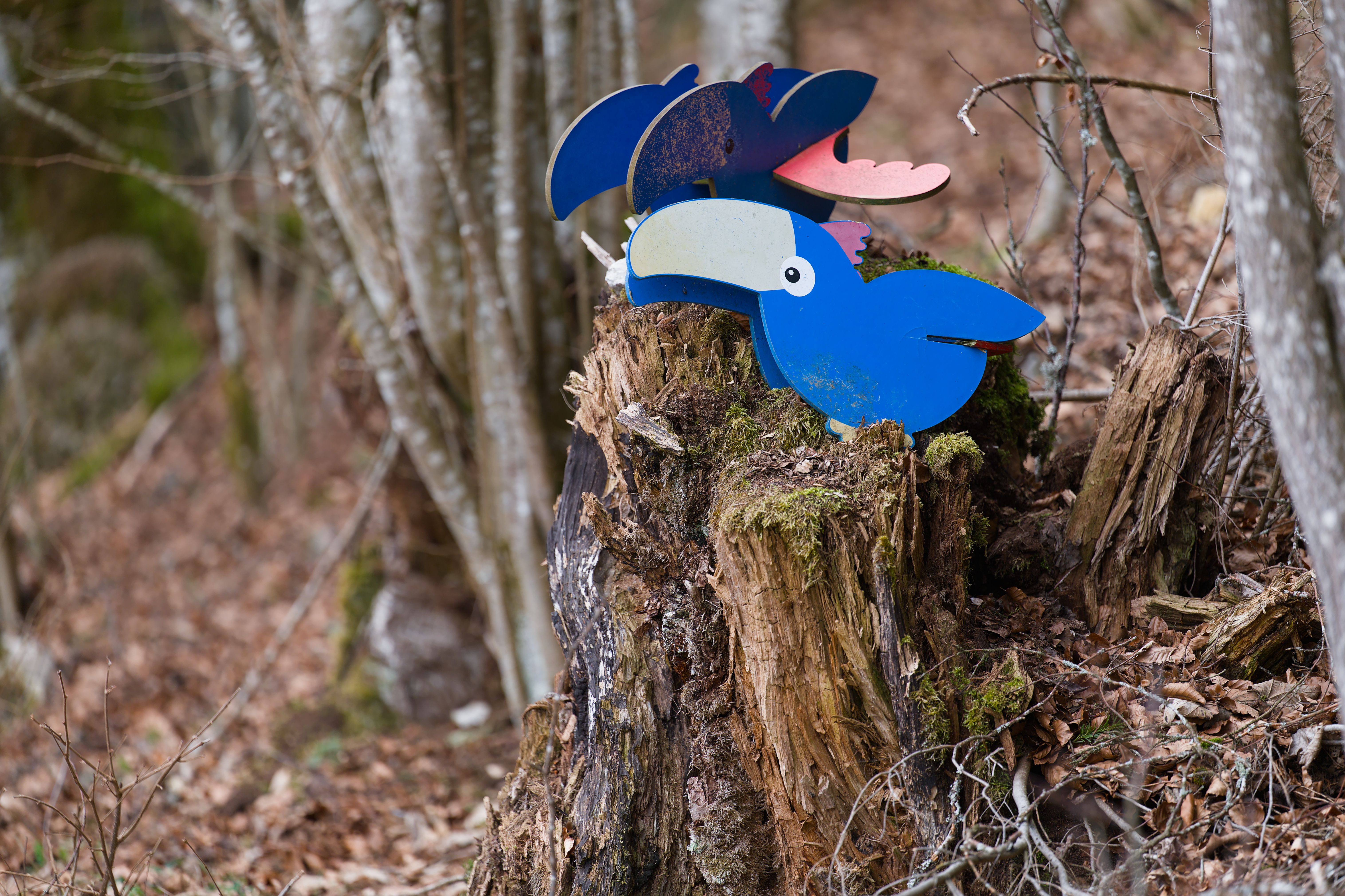 Colorful Bird Sculpture in a Woodland Setting · Free Stock Photo