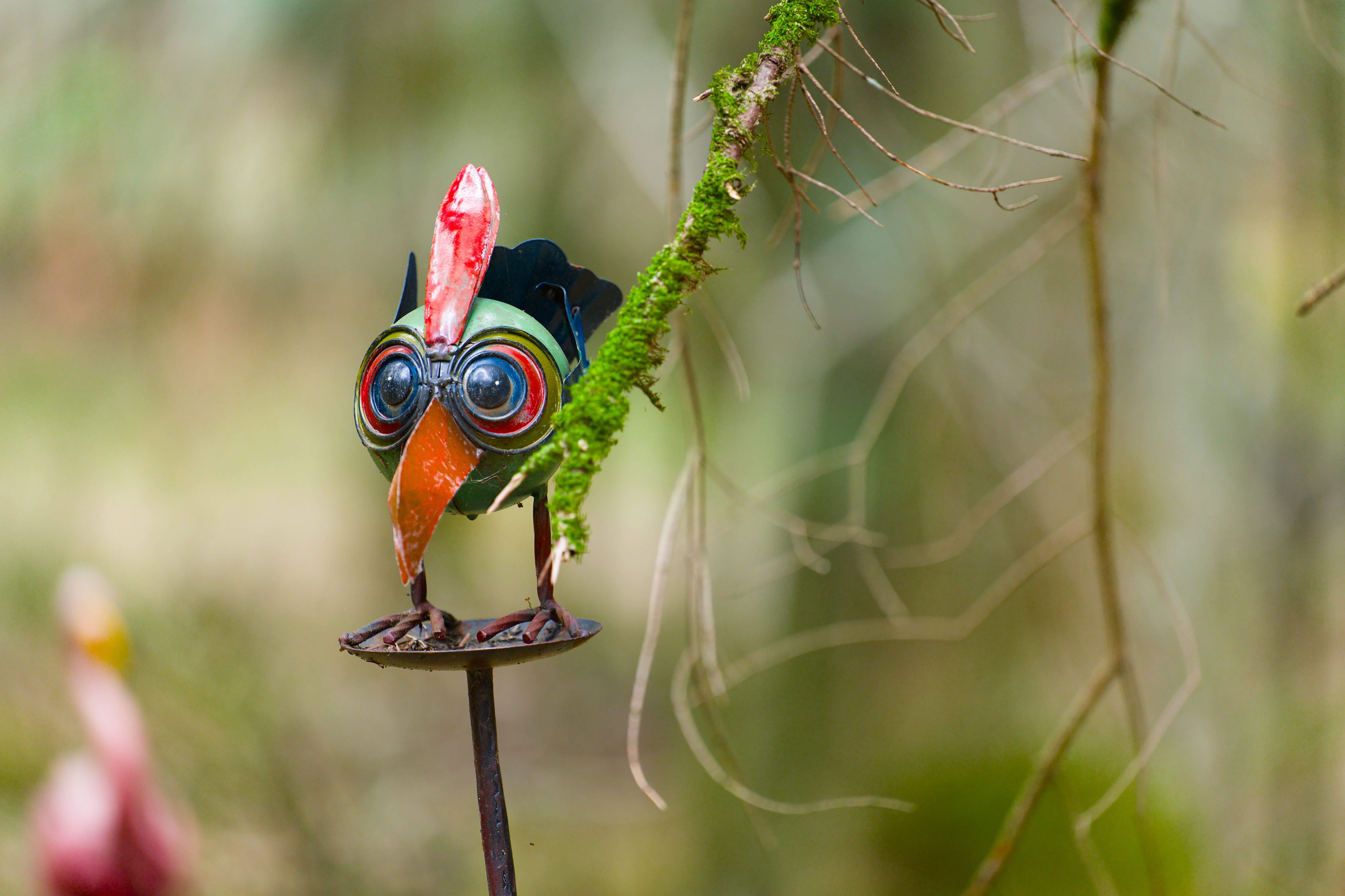 Colorful Metal Bird Sculpture in Forest Setting · Free Stock Photo