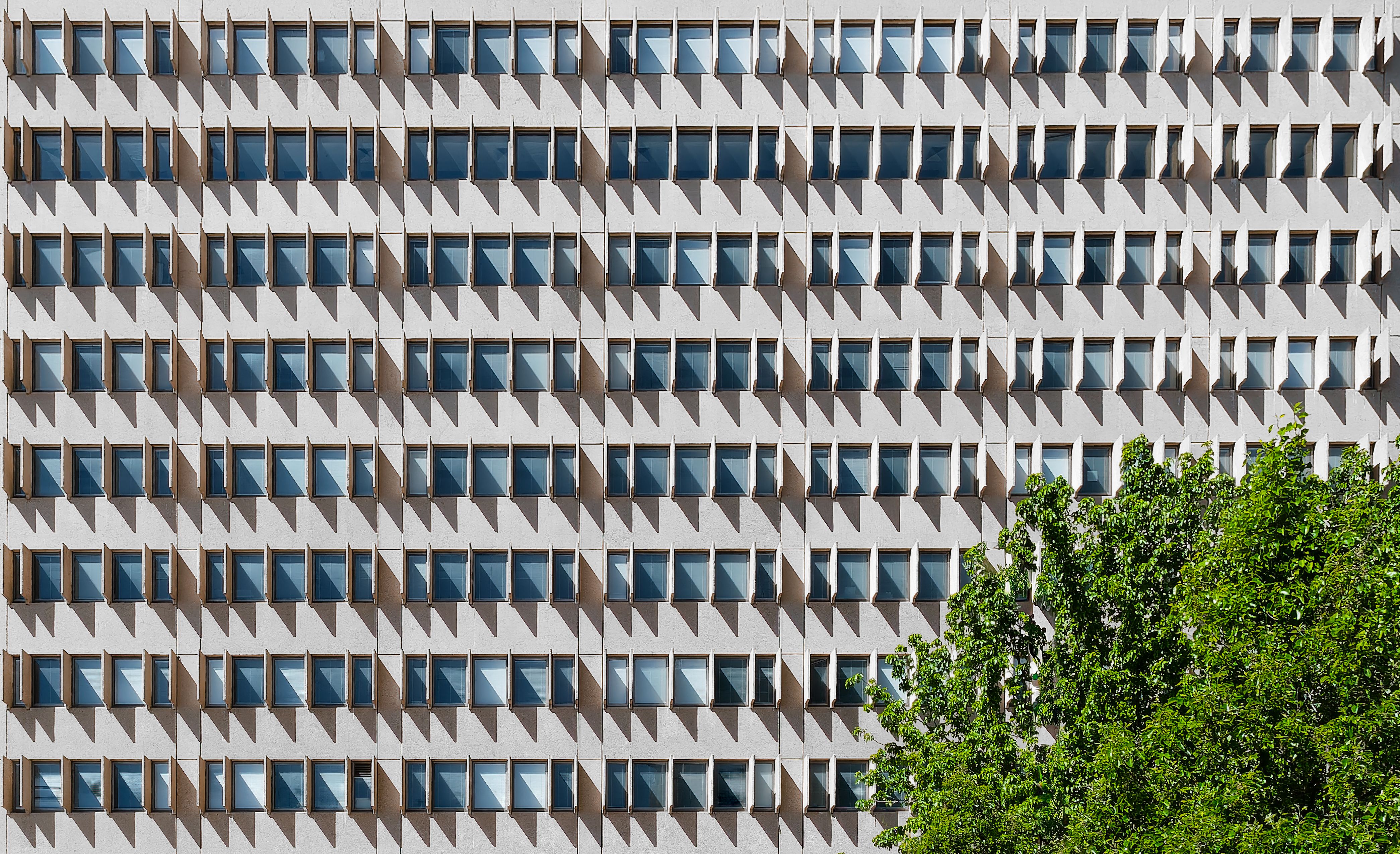 Modern Building Facade with Tree in Canberra · Free Stock Photo