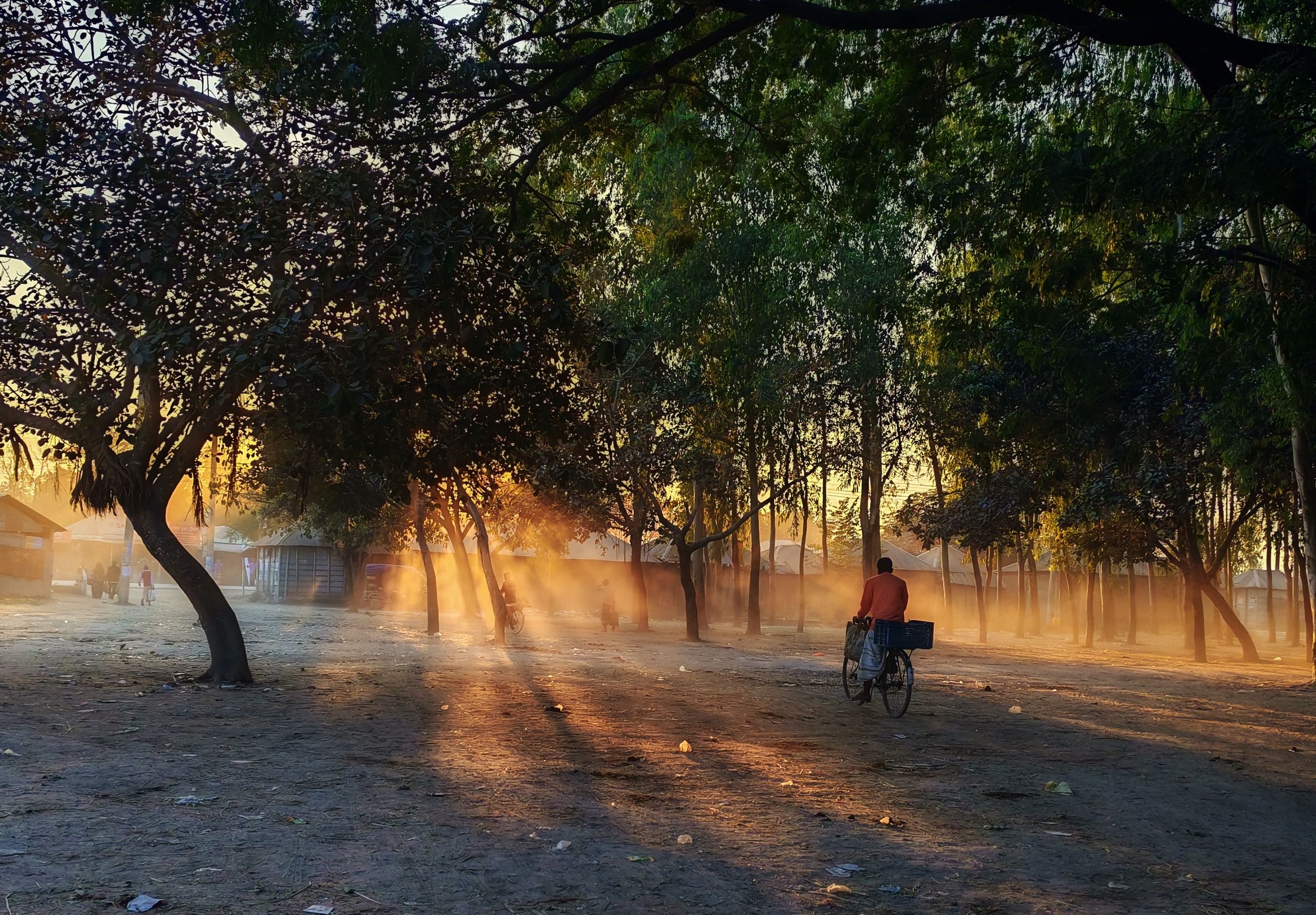 Peace Forest Photos, Download The BEST Free Peace Forest Stock Photos ...