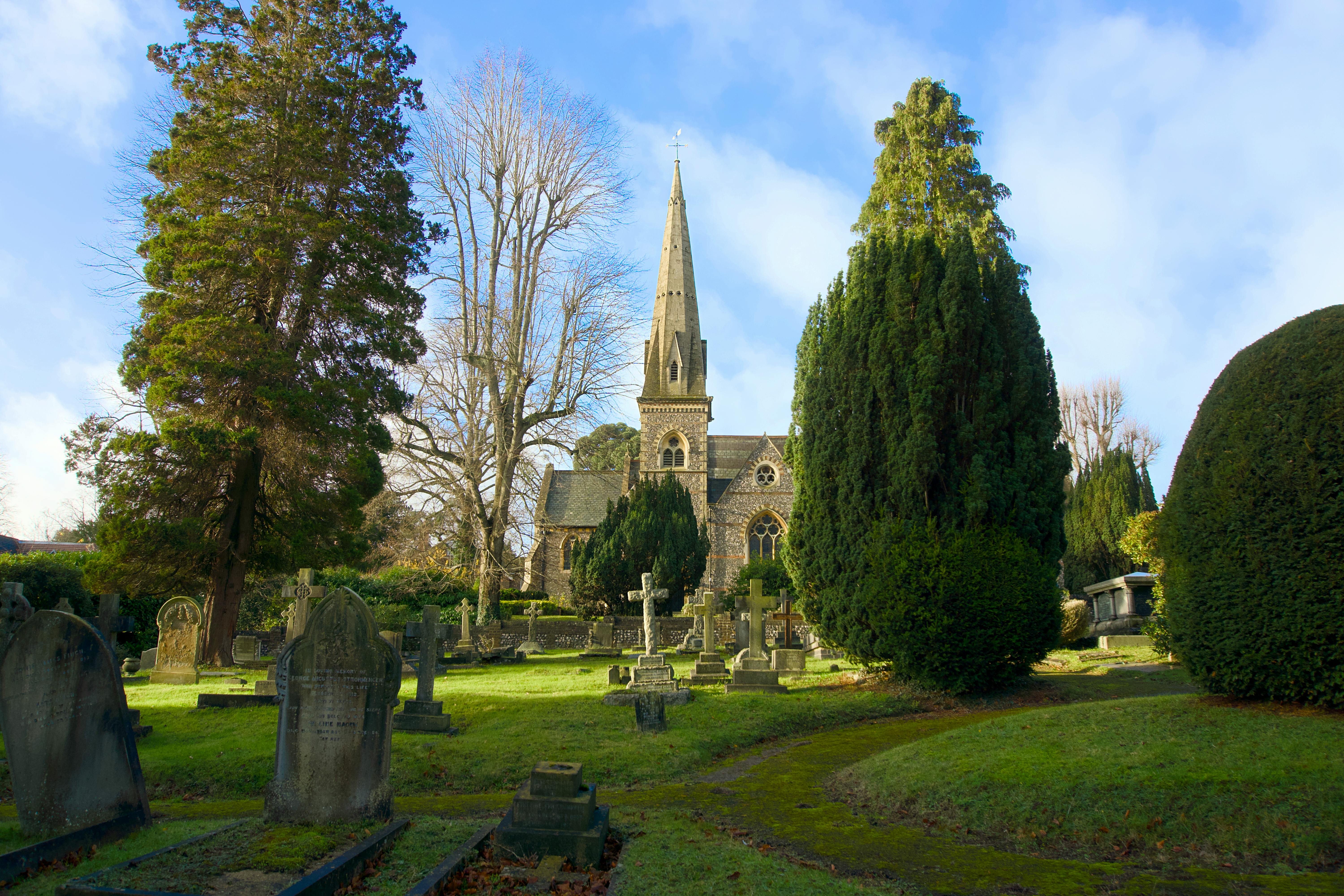 Marie+Temara+Pictures Photos, Download The BEST Free Marie+Temara ...