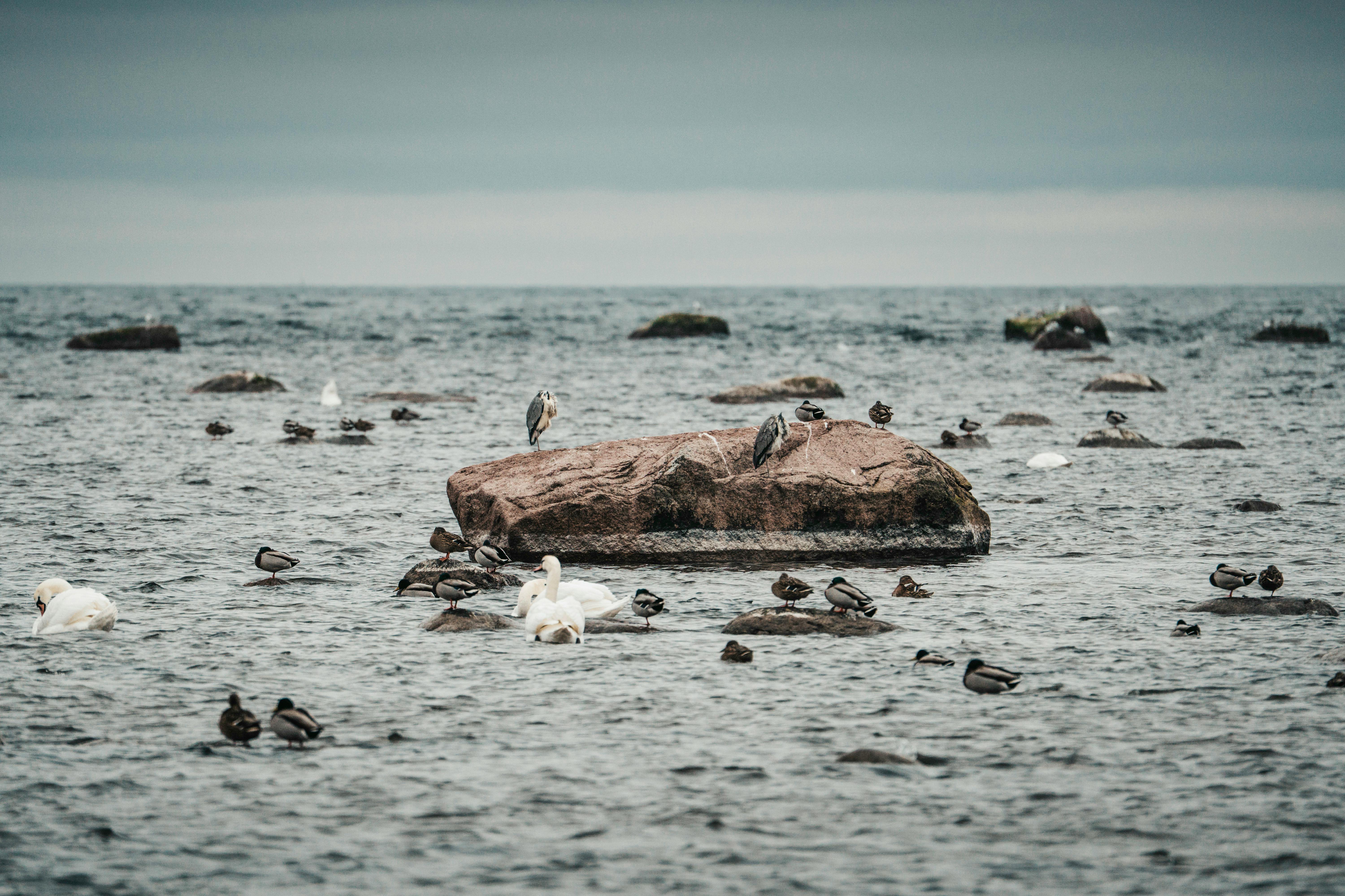 Seahawks+Jsn+Wallpaper Photos, Download The BEST Free Seahawks+Jsn ...