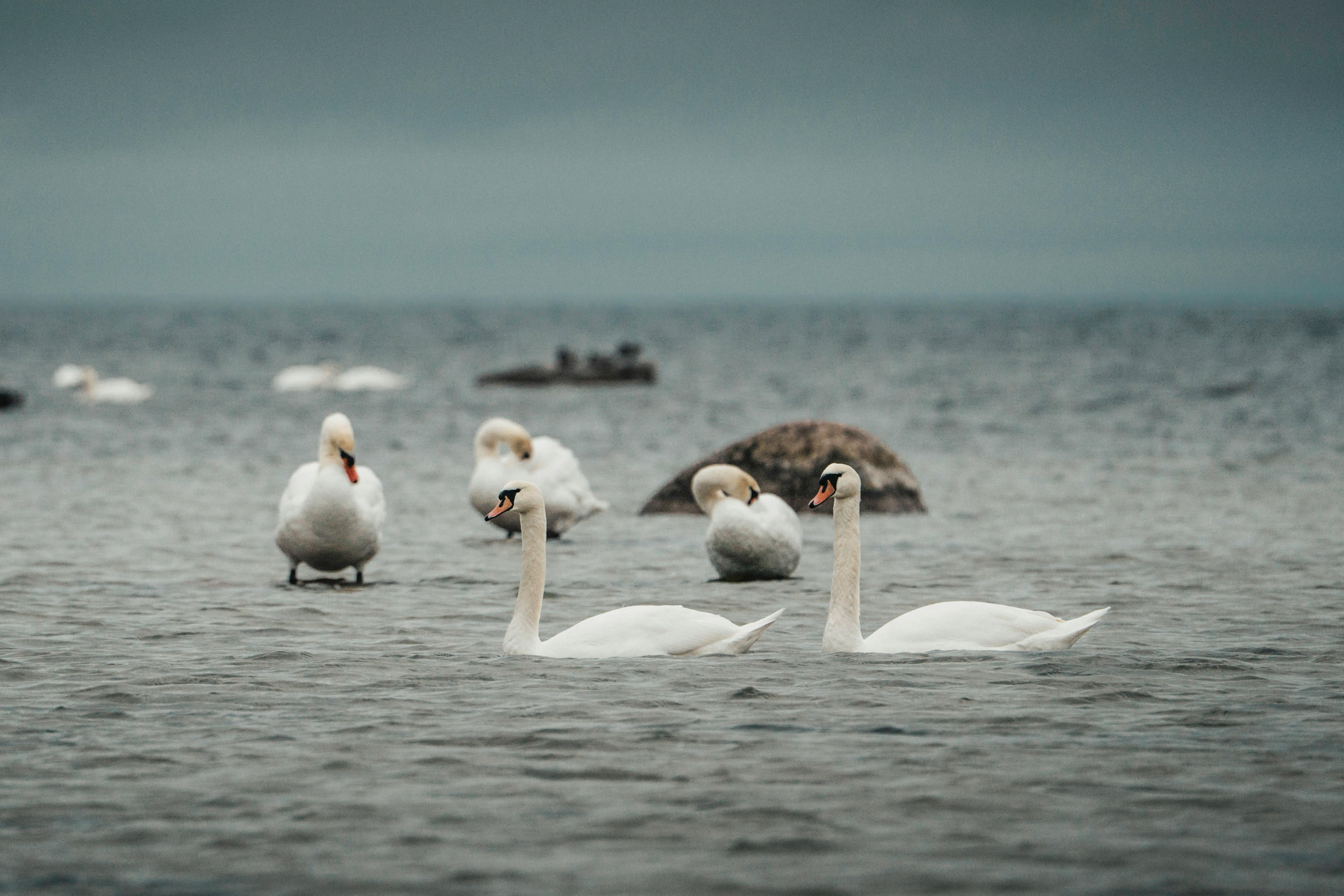 Seahawks+Jsn+Wallpaper Photos, Download The BEST Free Seahawks+Jsn ...