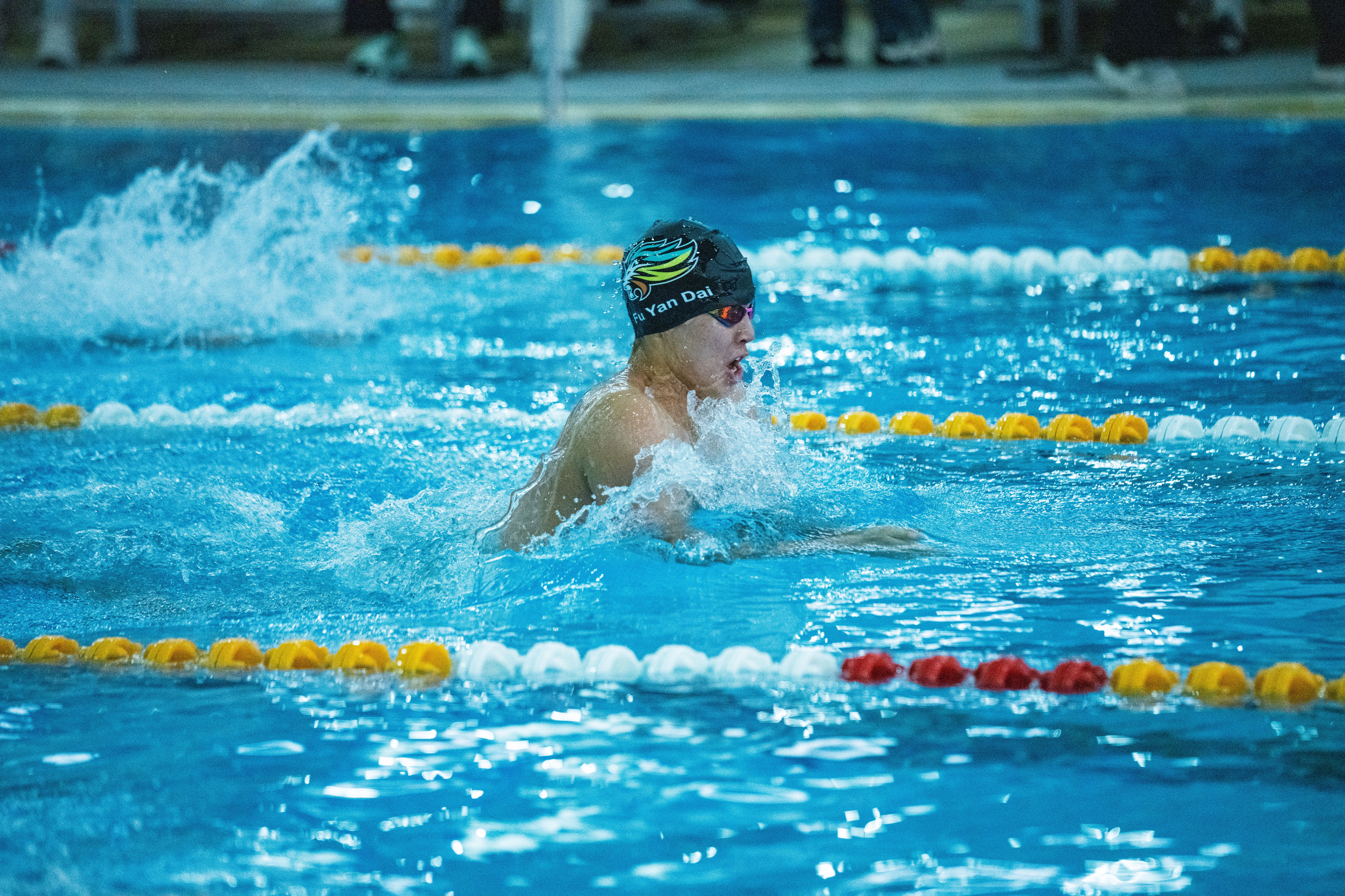 Competitive Swimmer in Race at Indoor Pool · Free Stock Photo