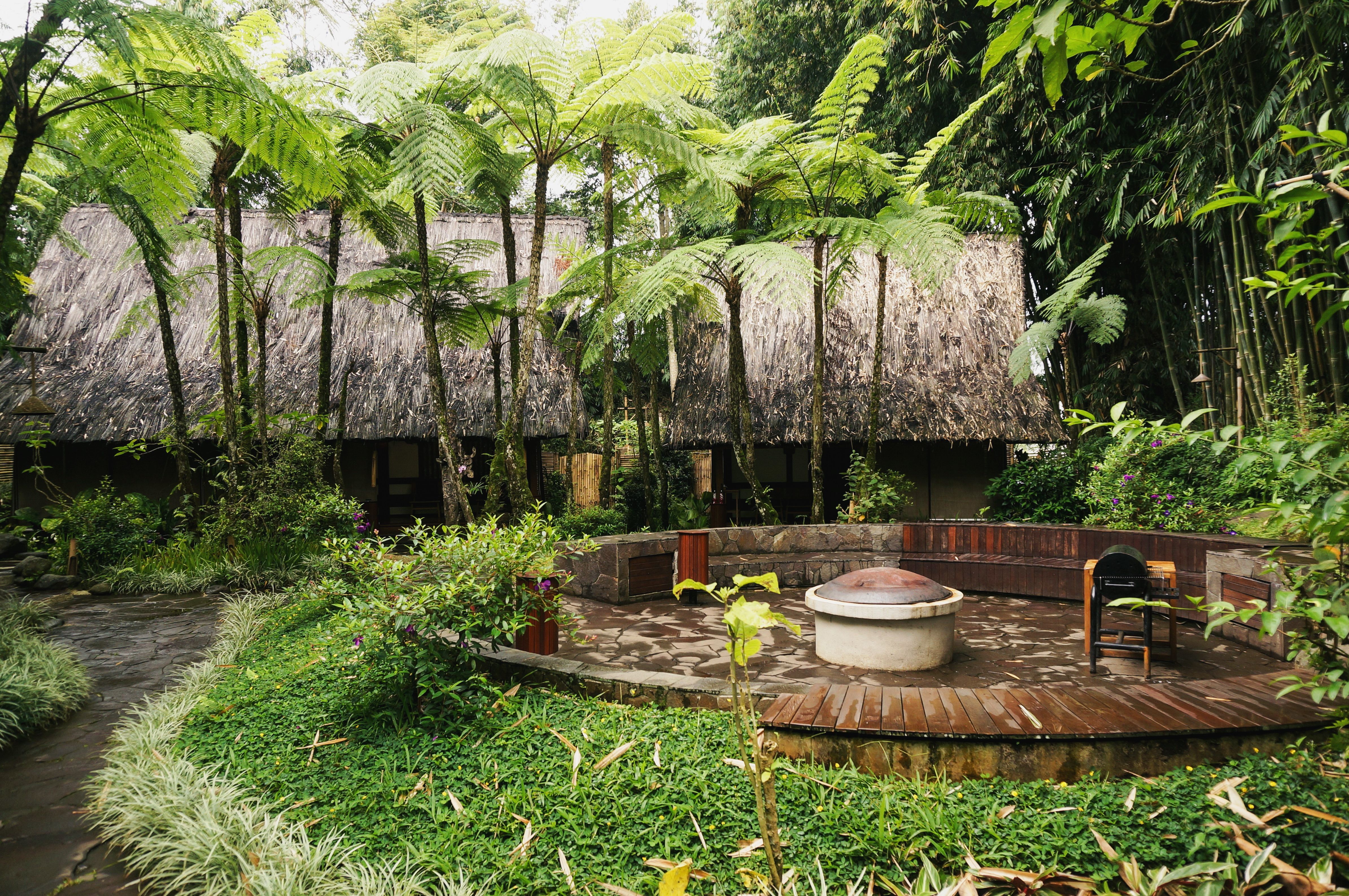 Tropical Garden with Thatched Roof Hut · Free Stock Photo