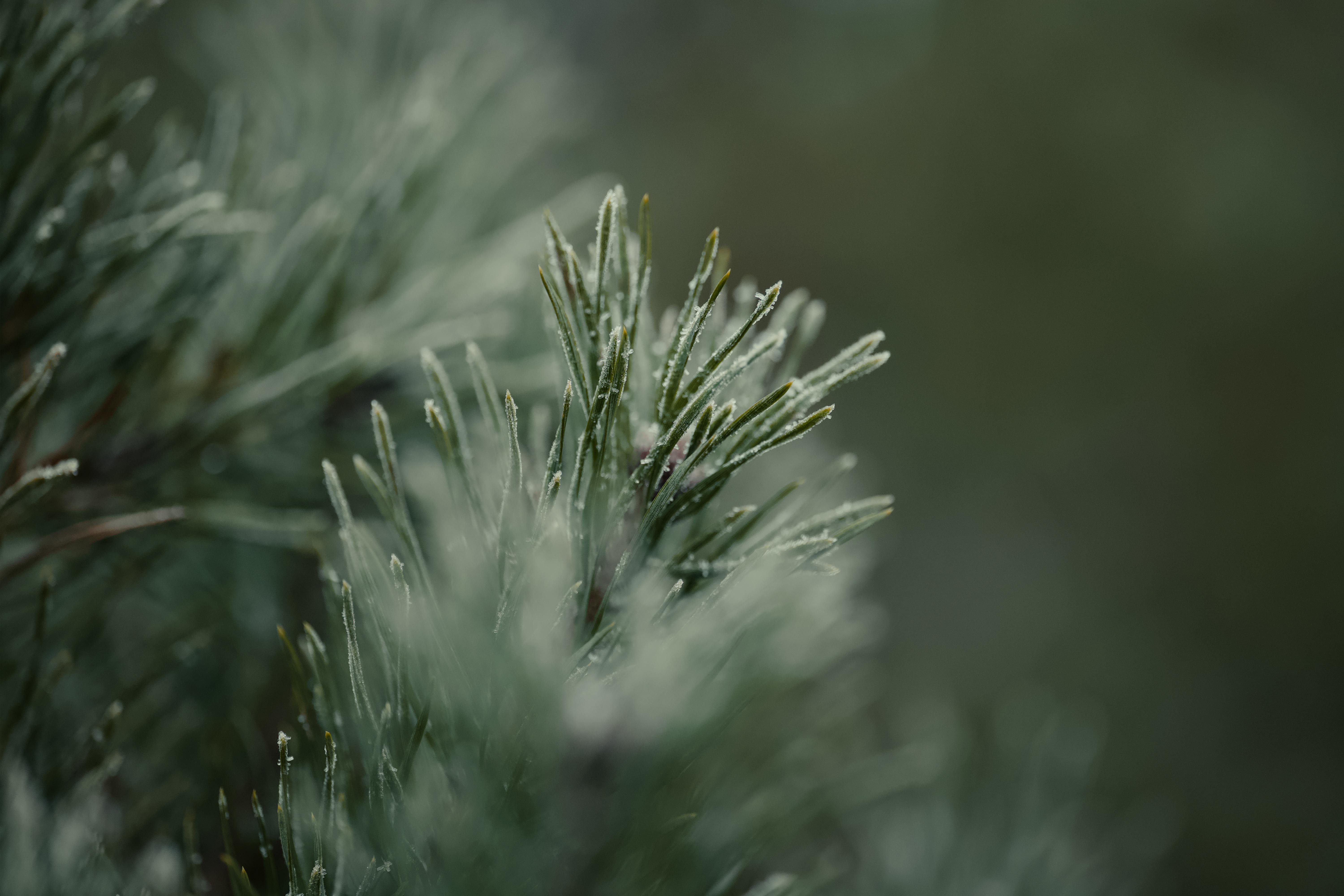 Keyshot Background Photos, Download The BEST Free Keyshot Background ...