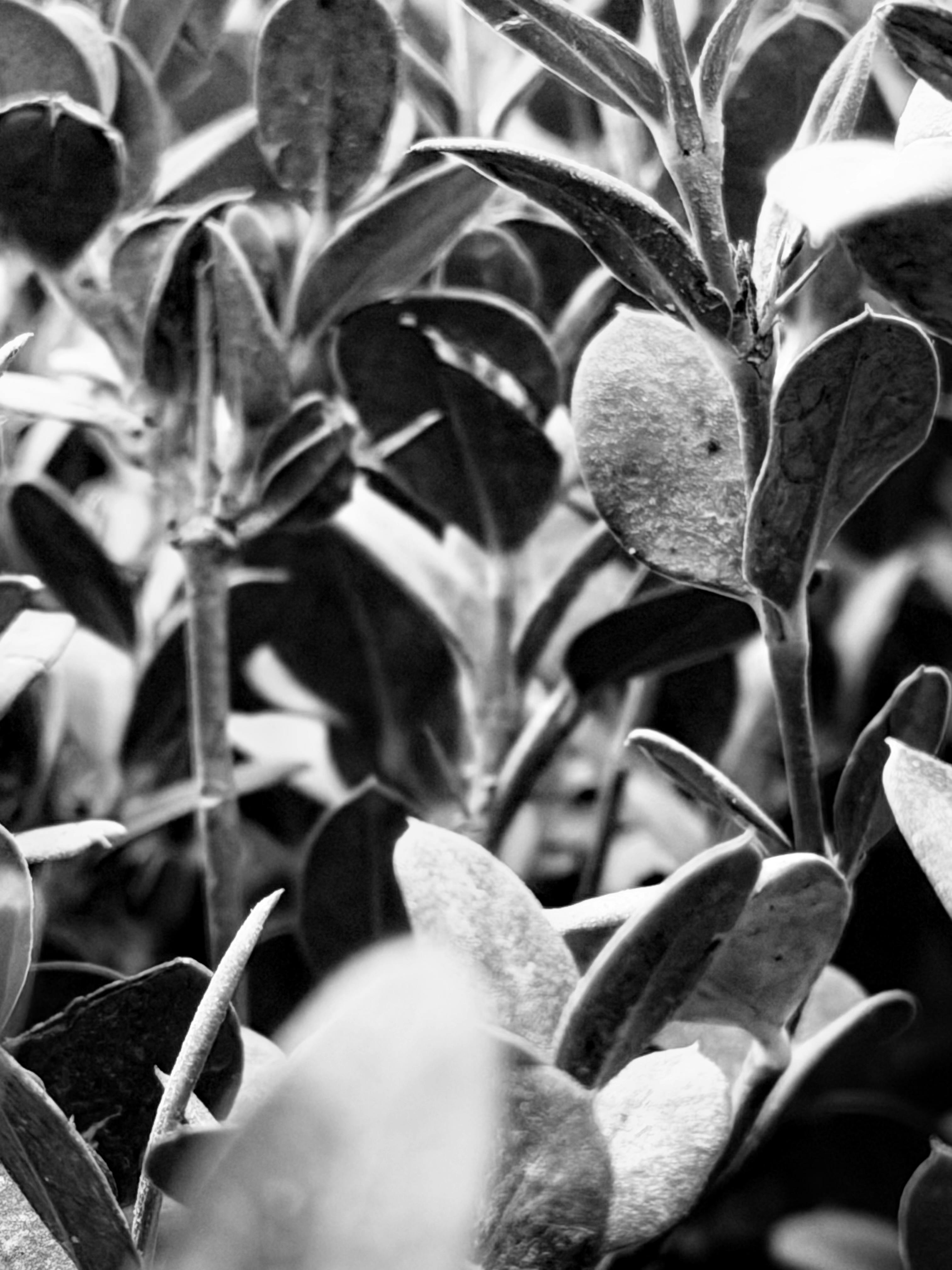 Hany Nafady - Photography