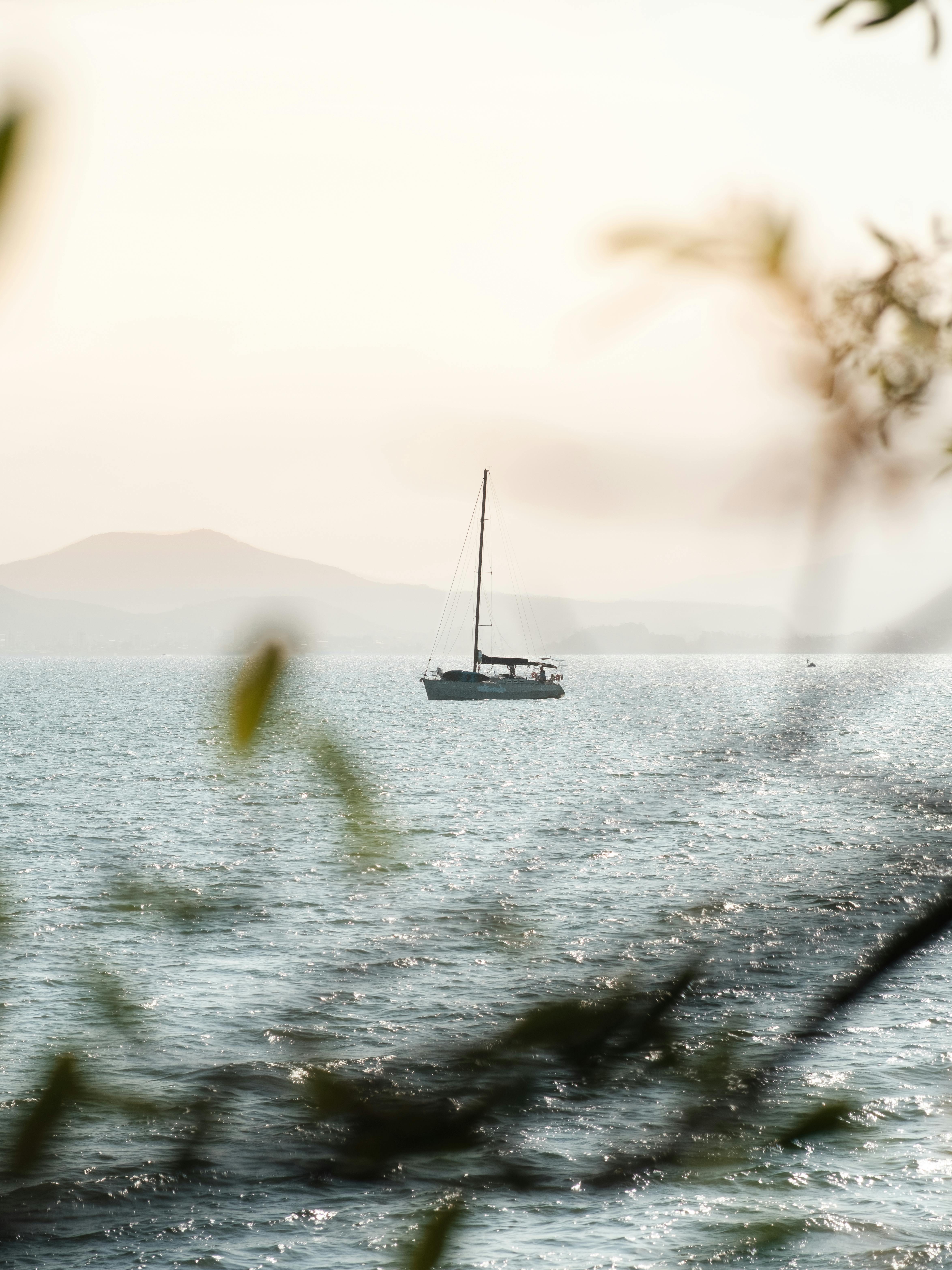 30.000+ Foto Qs=n&form=qbre&sp=-1&ghc=1&lq=0&pq=monkey&sc=12-6&sk=&cvid ...