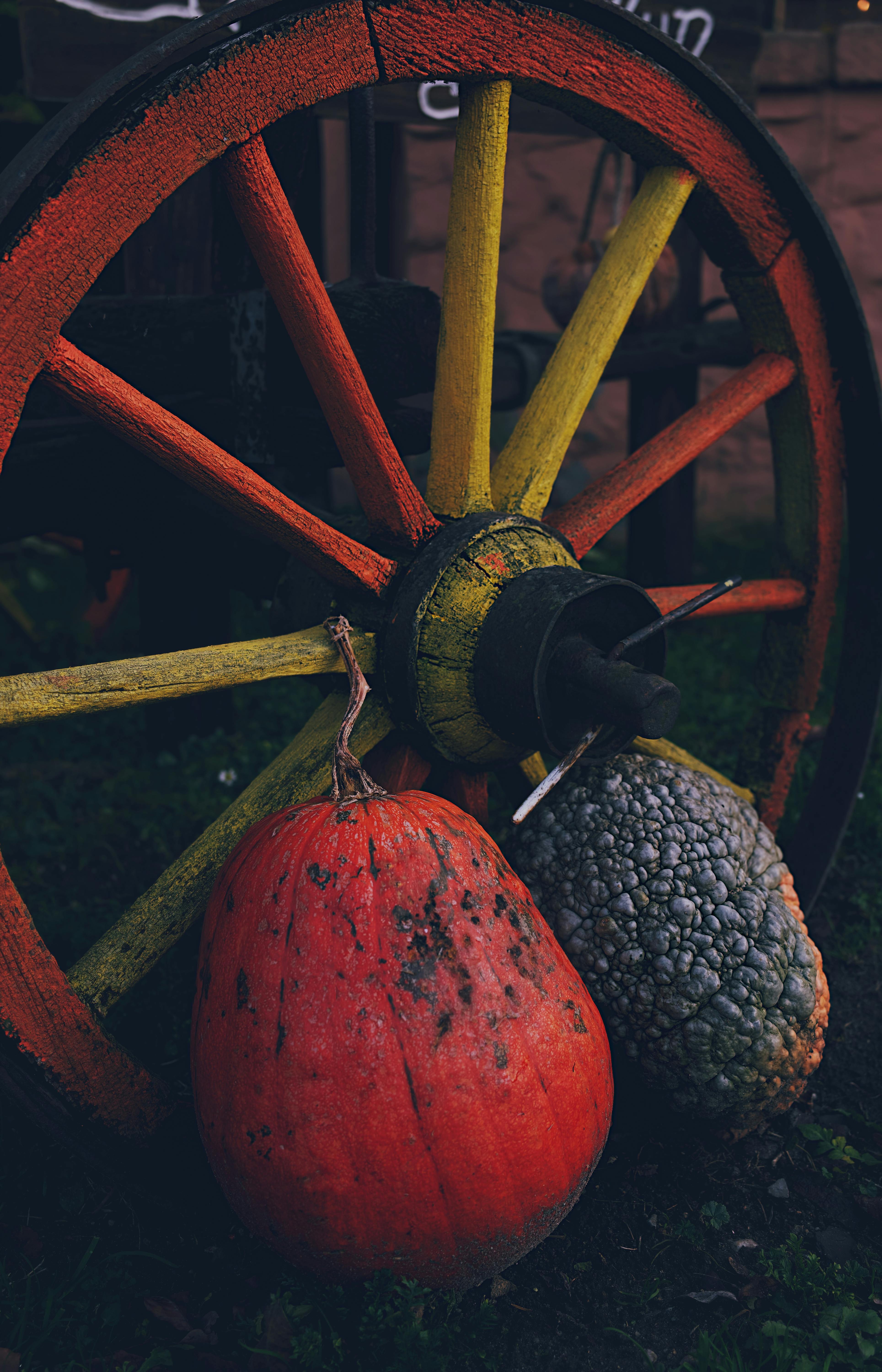 Lgbtq Thanksgiving Photos, Download The BEST Free Lgbtq Thanksgiving ...