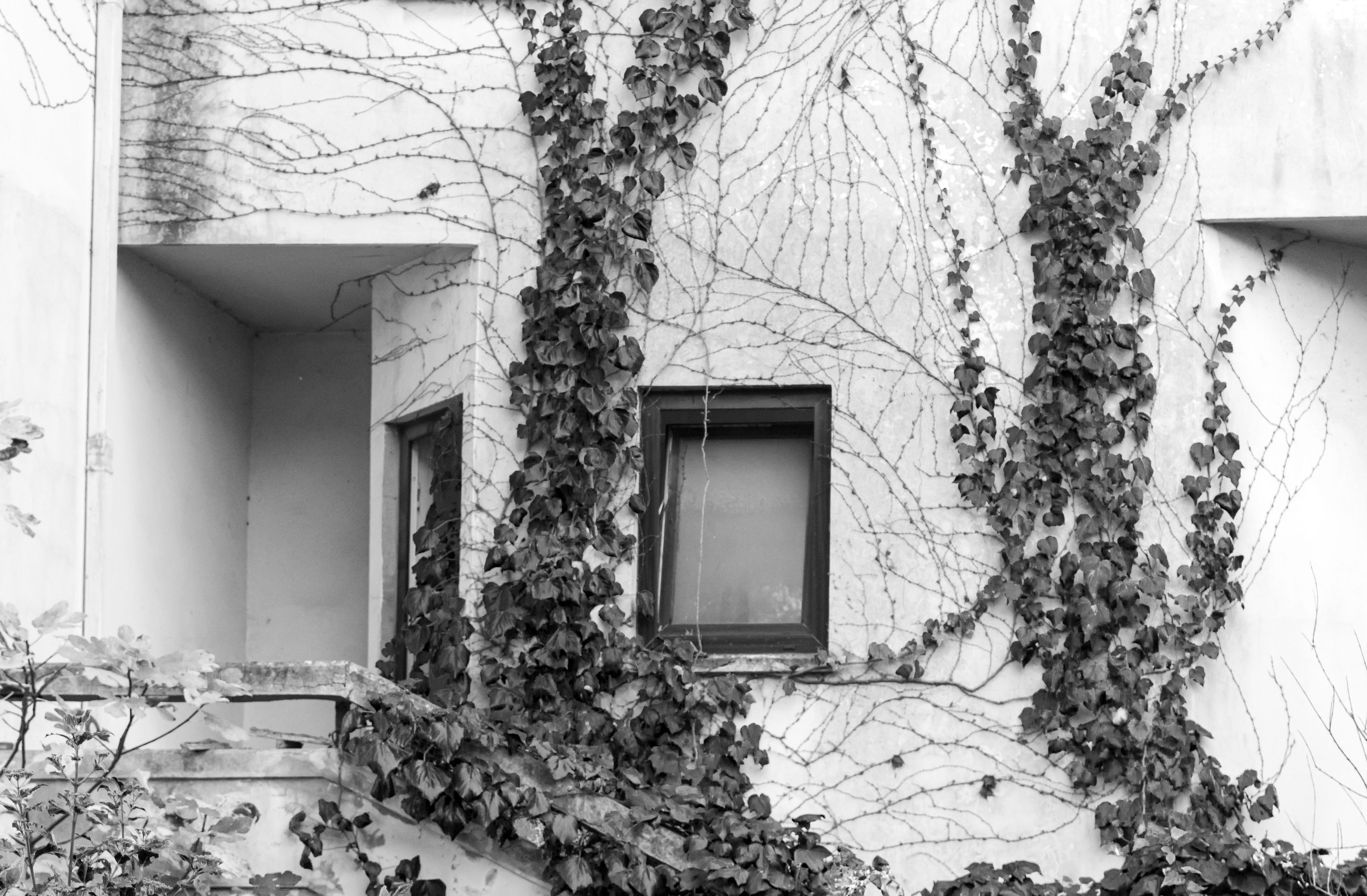 Building Texture Photos, Download The BEST Free Building Texture Stock ...