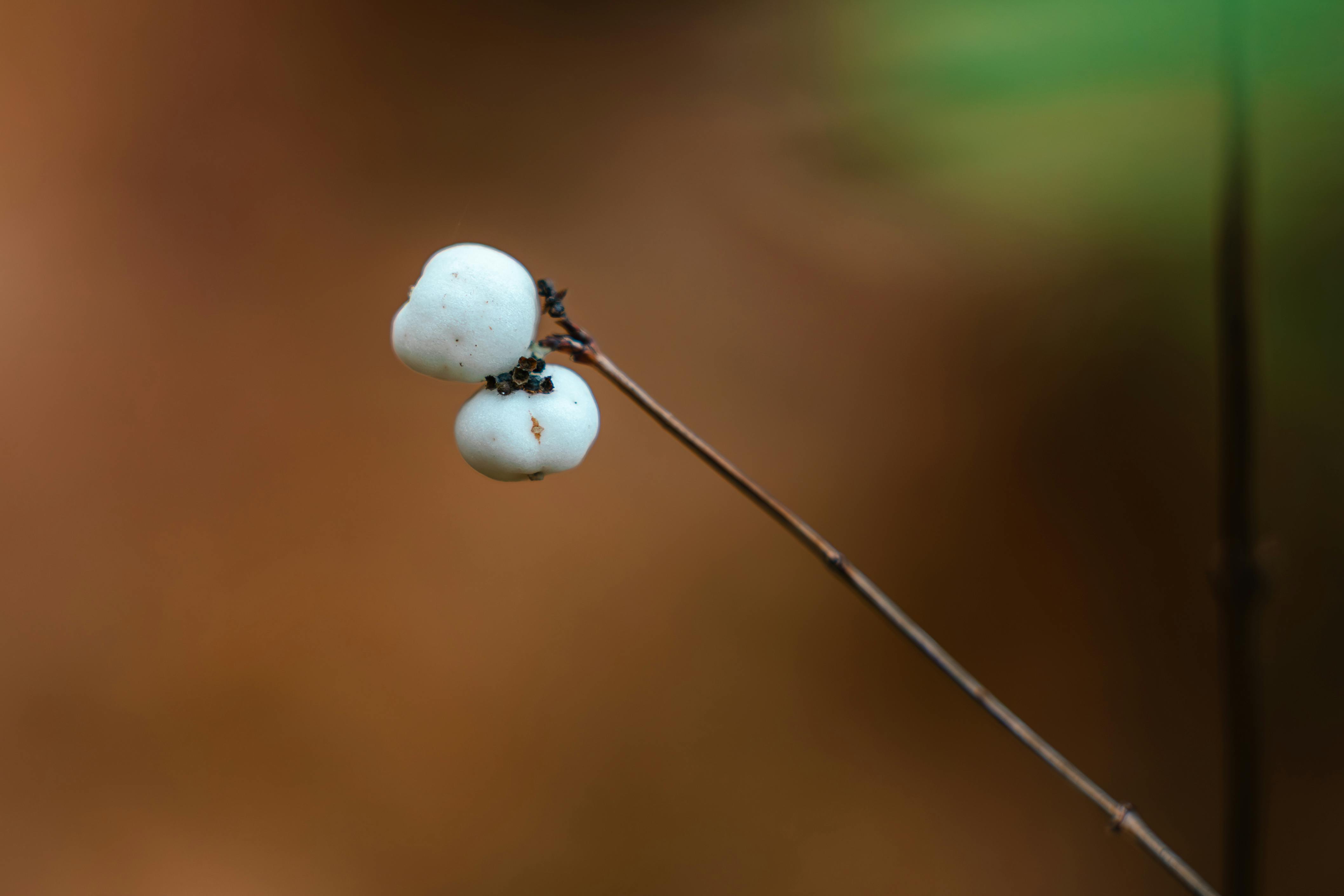 Coco+Chanel+Girl+Falling+Off+Chair Photos, Download The BEST Free Coco ...