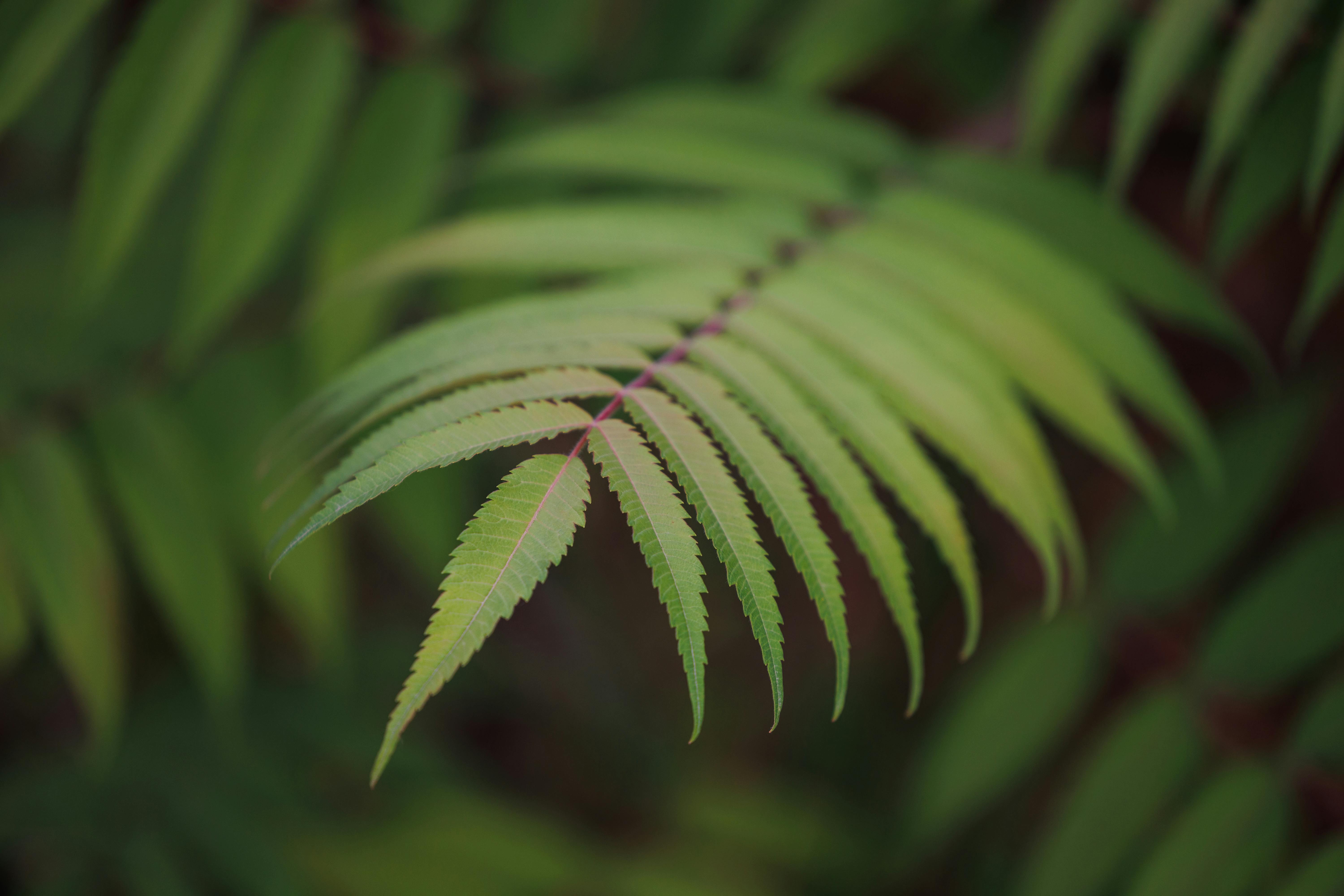 Keyshot Background Photos, Download The BEST Free Keyshot Background ...