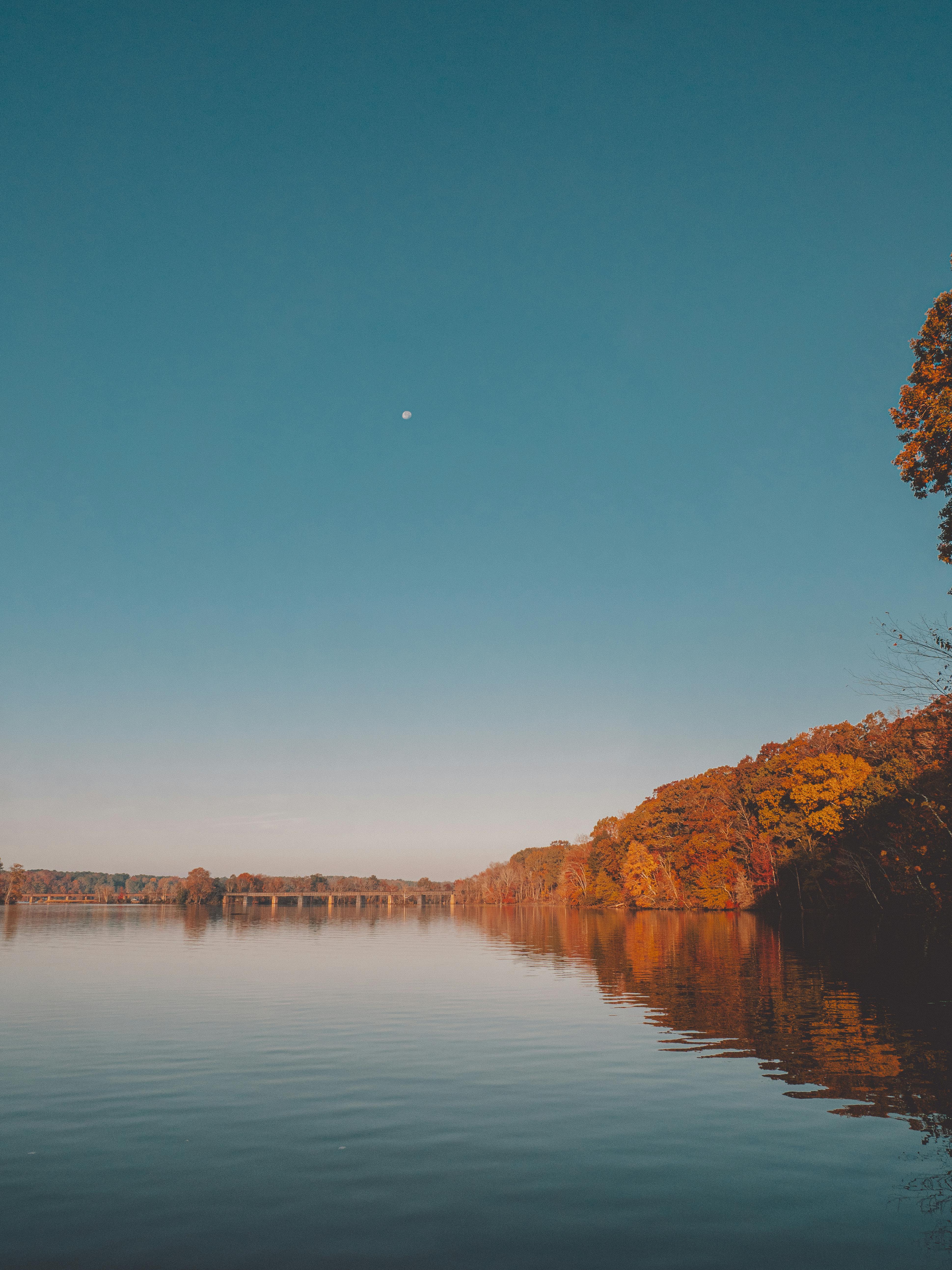 Moon Jpeg Photos, Download The BEST Free Moon Jpeg Stock Photos & HD Images