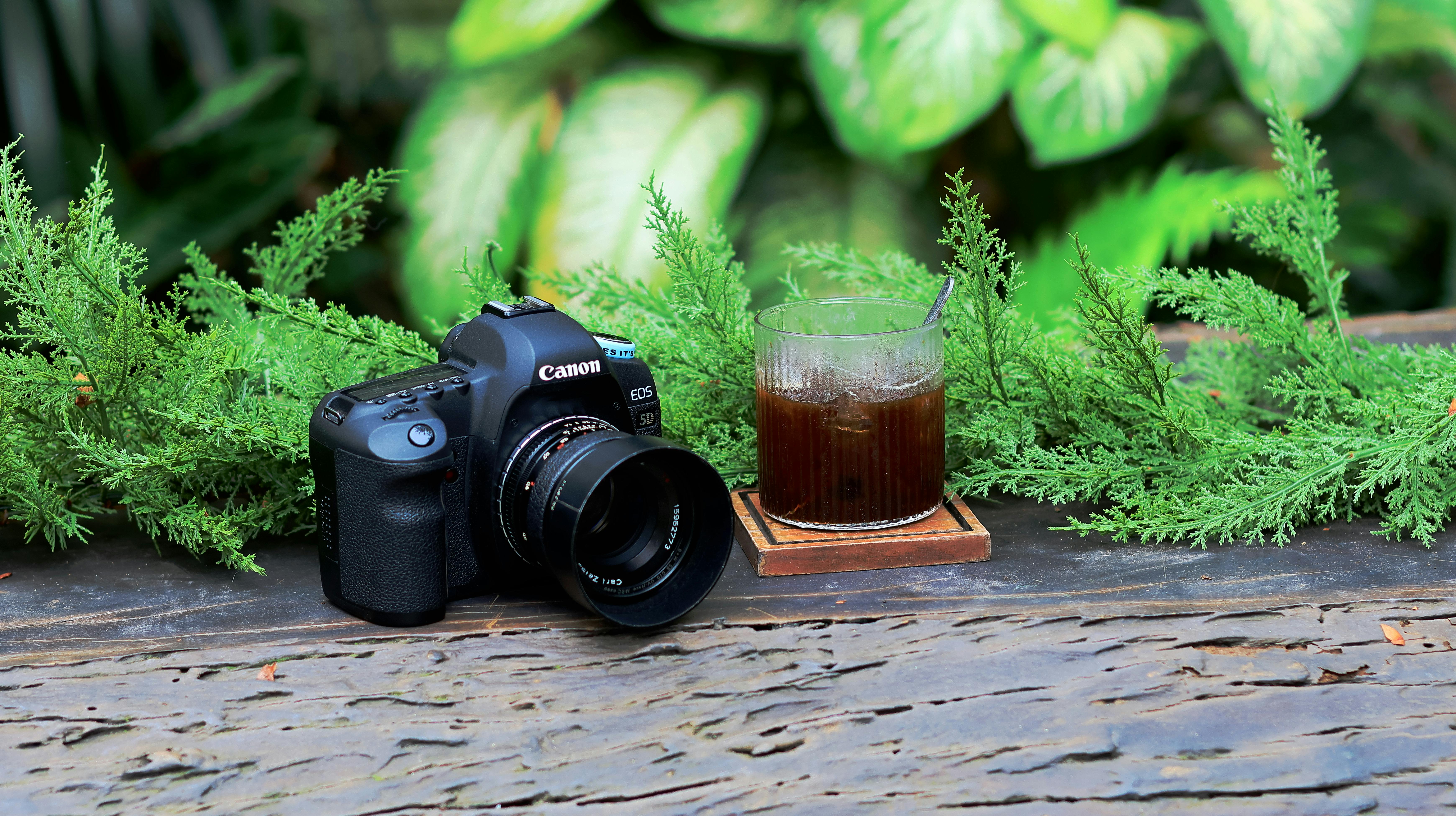 Jennifer+Harrison+Body Photos, Download The BEST Free Jennifer+Harrison ...