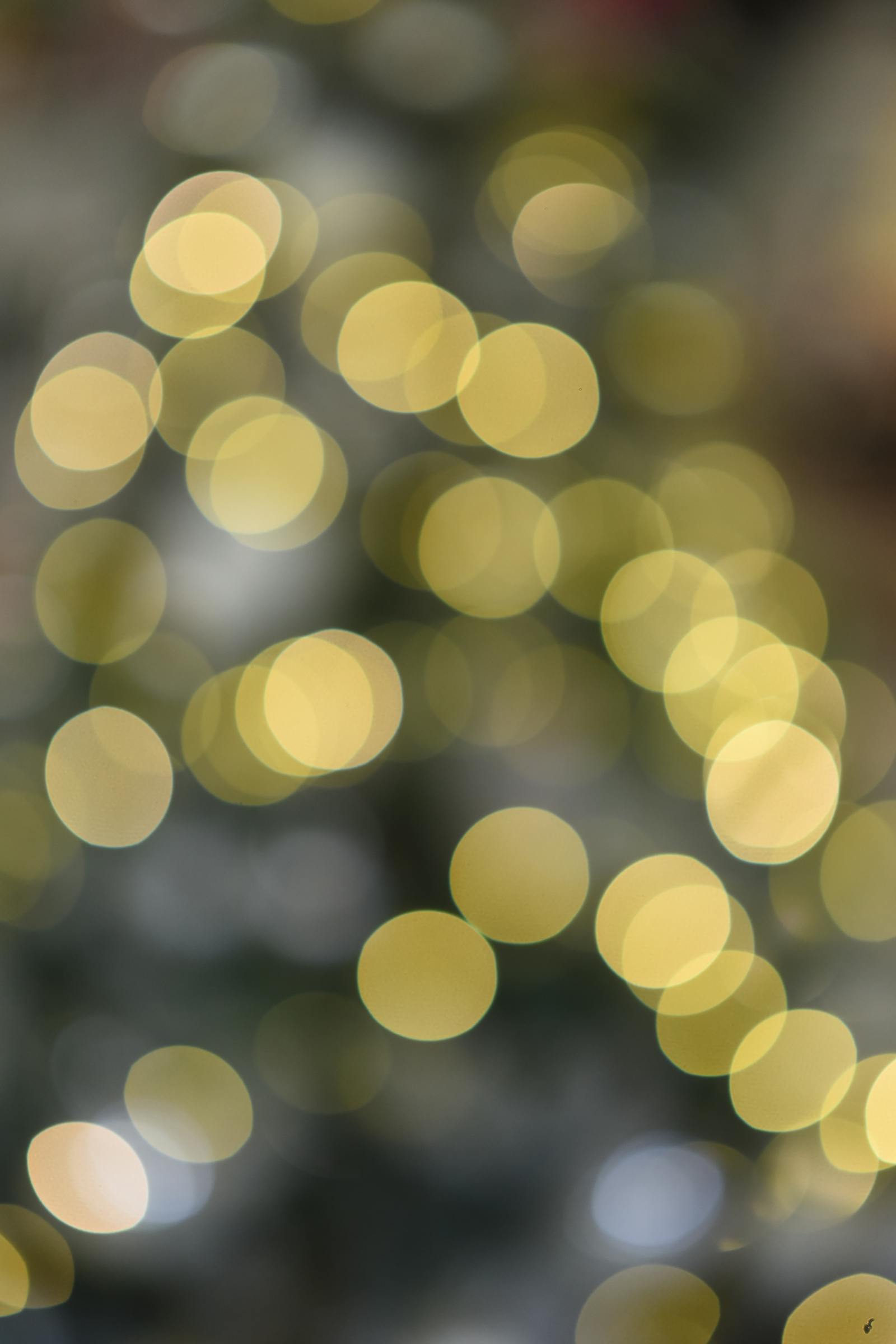 Google Meet Background Christmas Photos, Download The BEST Free Google ...