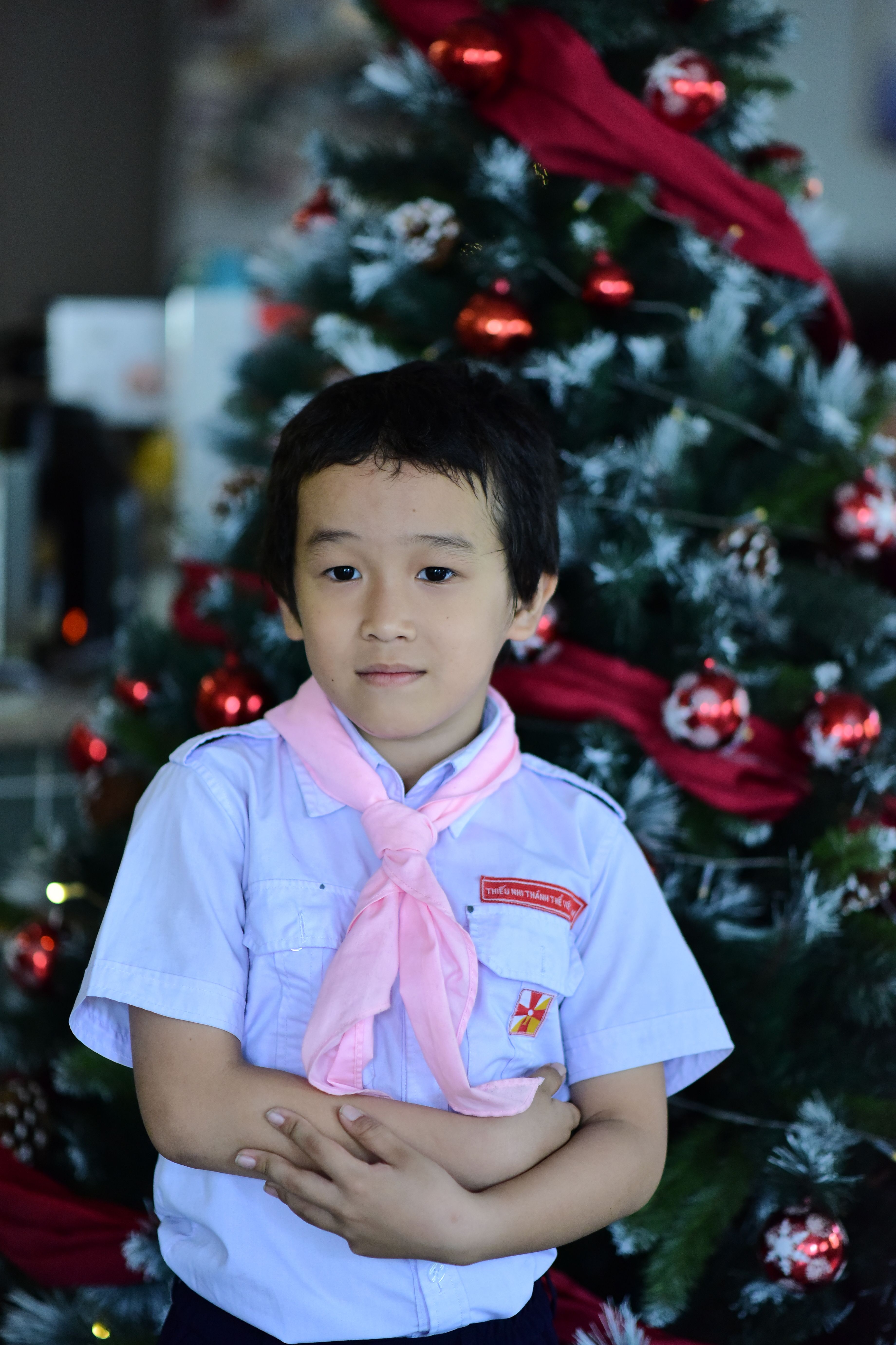 Boys+Petticoated Photos, Download The BEST Free Boys+Petticoated Stock ...