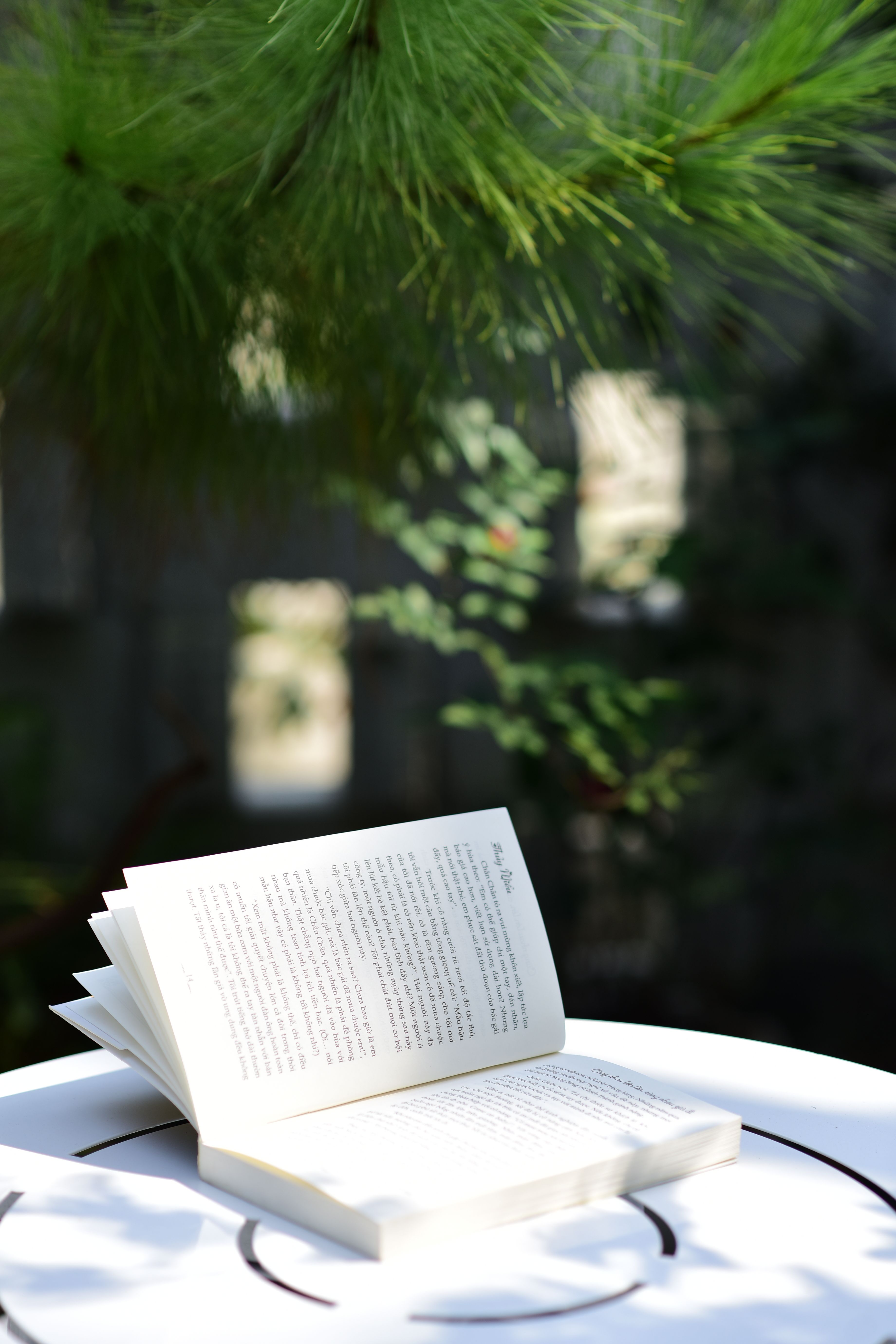 Open Book on Table with Pine Branch · Free Stock Photo