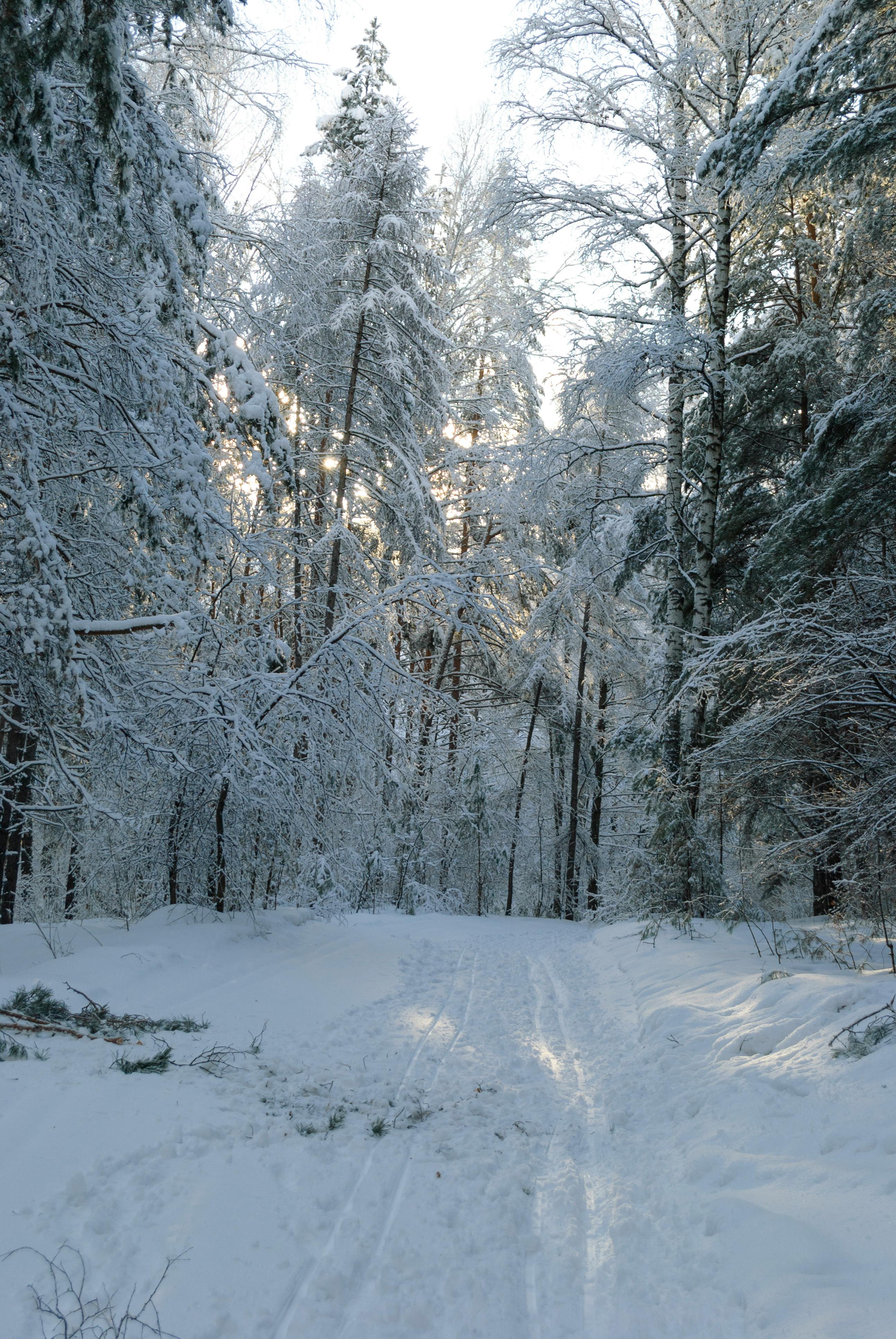 December Landscape Photos, Download The BEST Free December Landscape ...