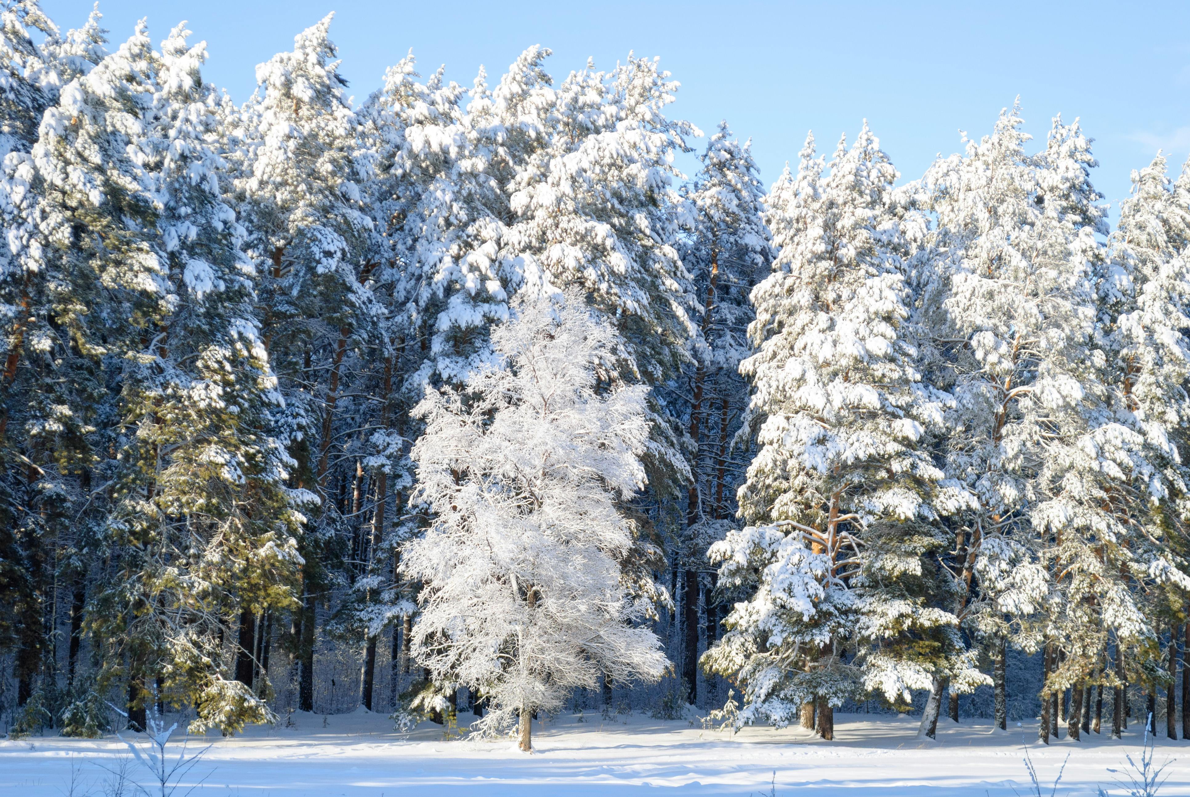 Live Streaming Background Photos, Download The BEST Free Live Streaming ...