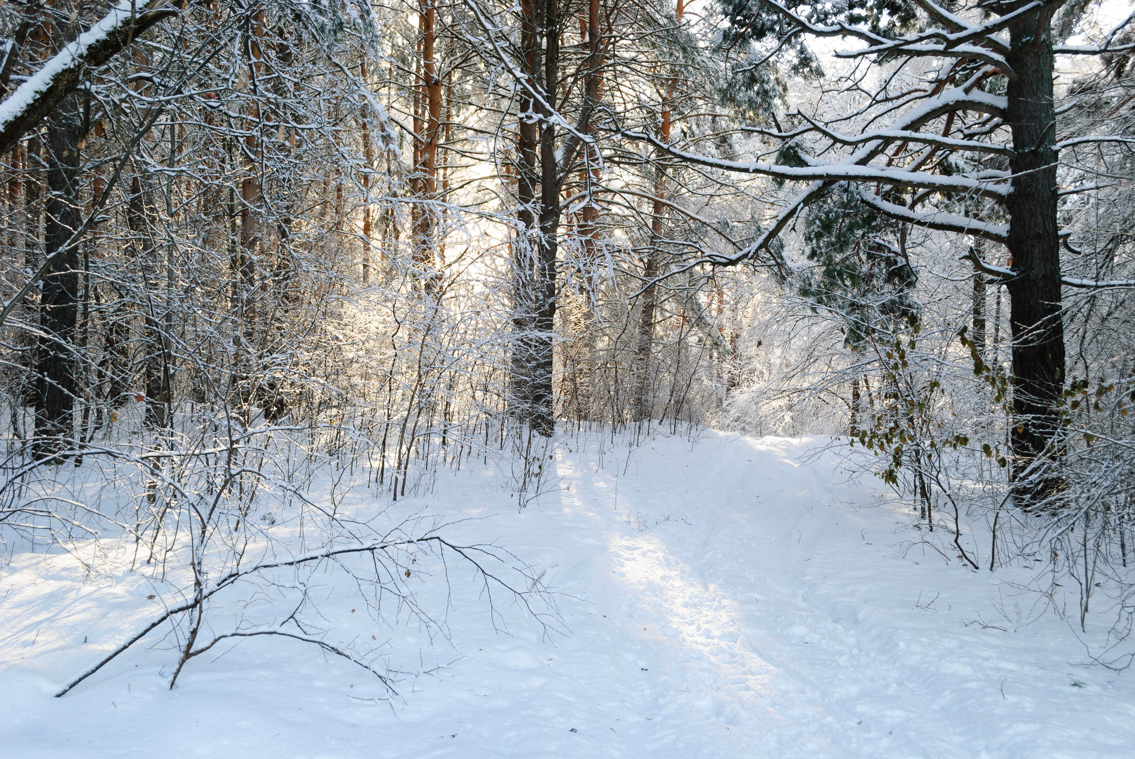4k Snow Storm Photos, Download The BEST Free 4k Snow Storm Stock Photos ...