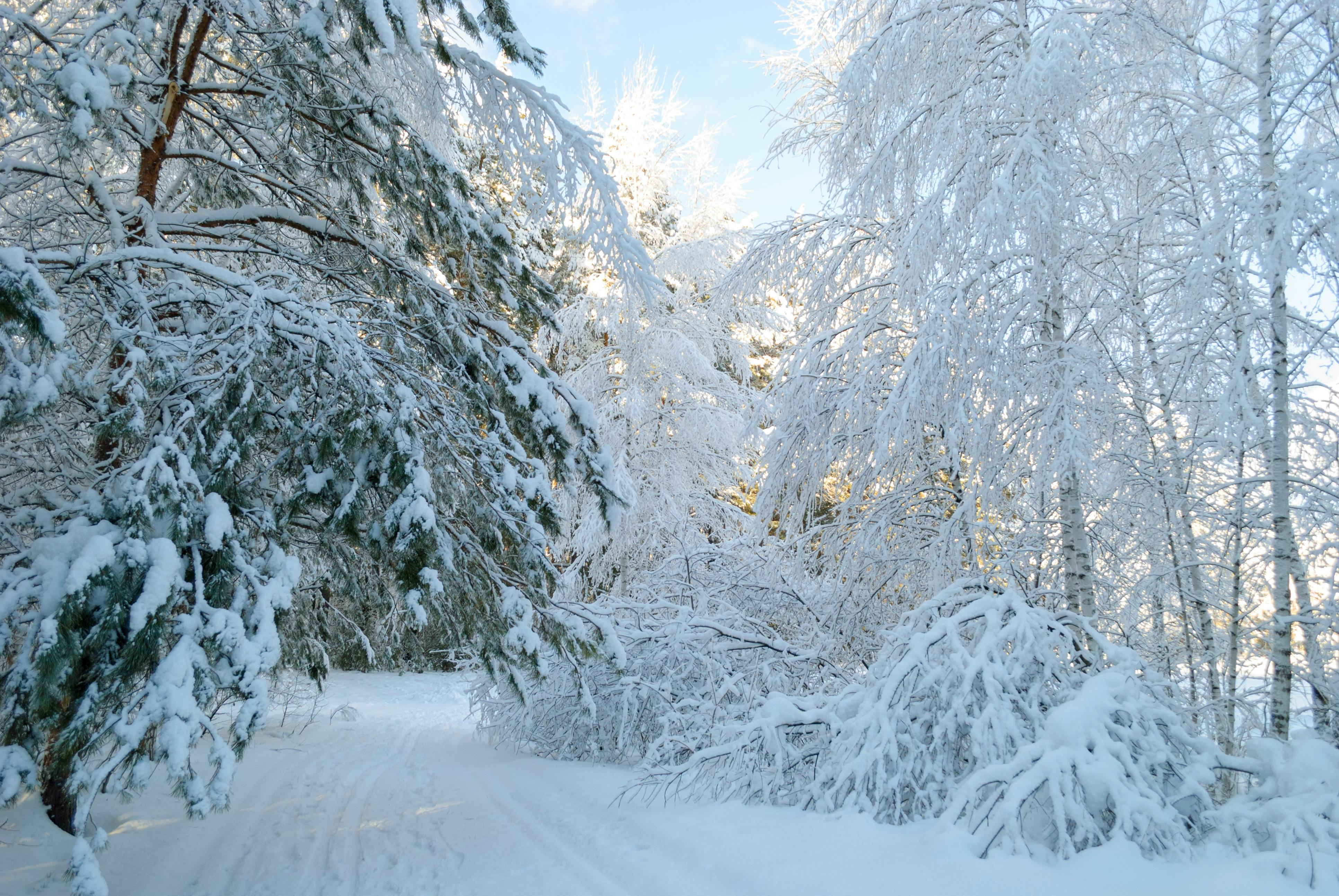 Xgroovy+Pictures Photos, Download The BEST Free Xgroovy+Pictures Stock ...