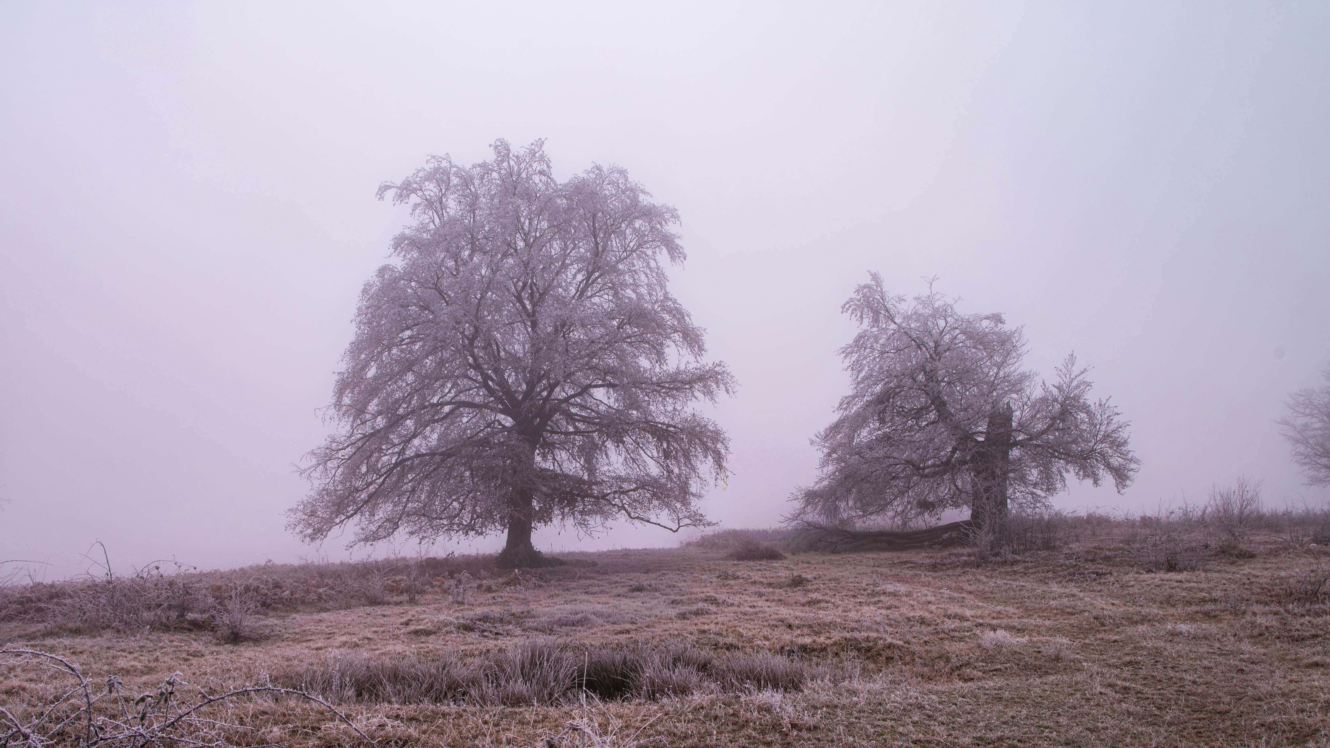 Ice+Spice+Feet+Pic Photos, Download The BEST Free Ice+Spice+Feet+Pic ...