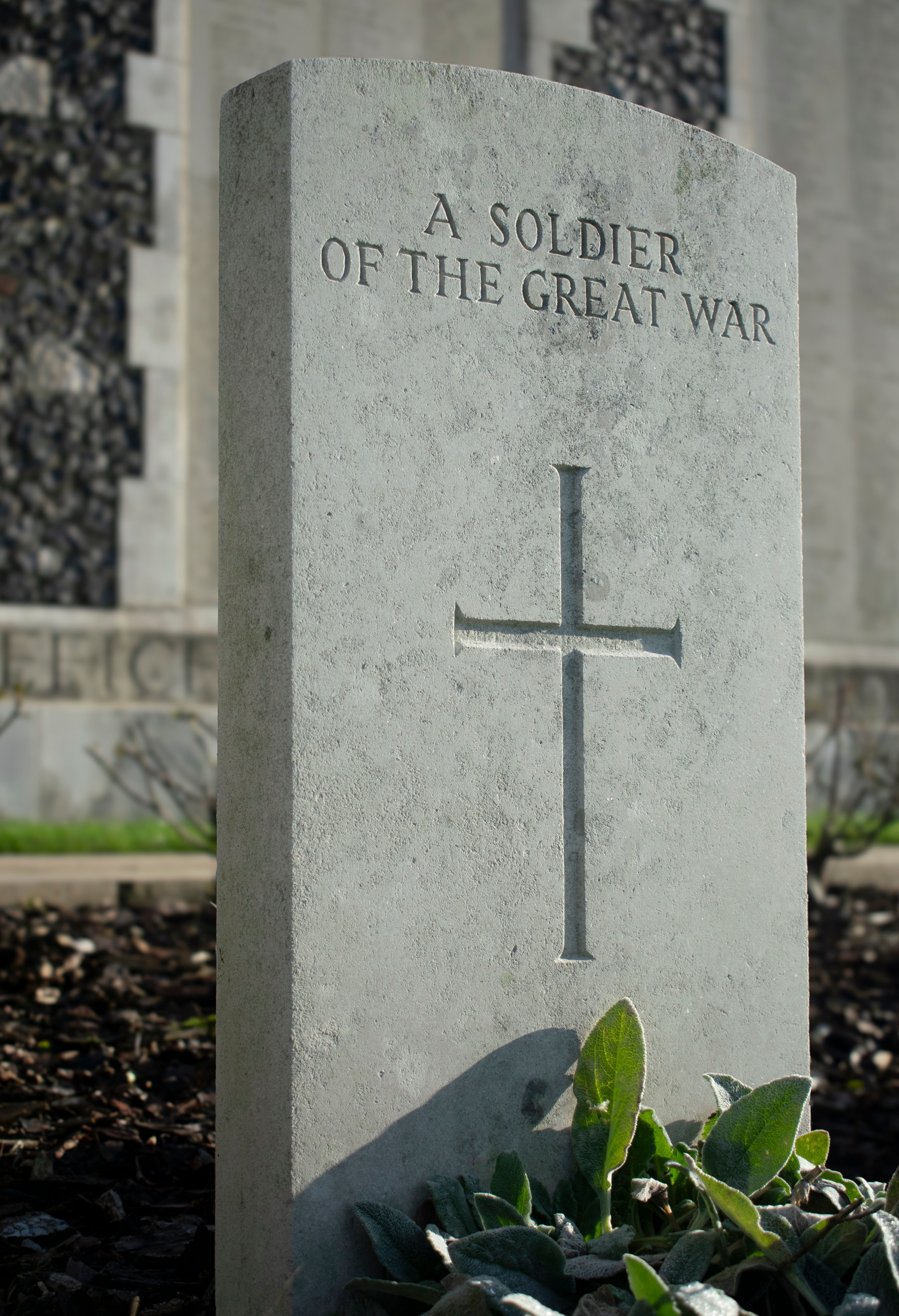 World War I Soldier's Grave Marker in Cemetery · Free Stock Photo
