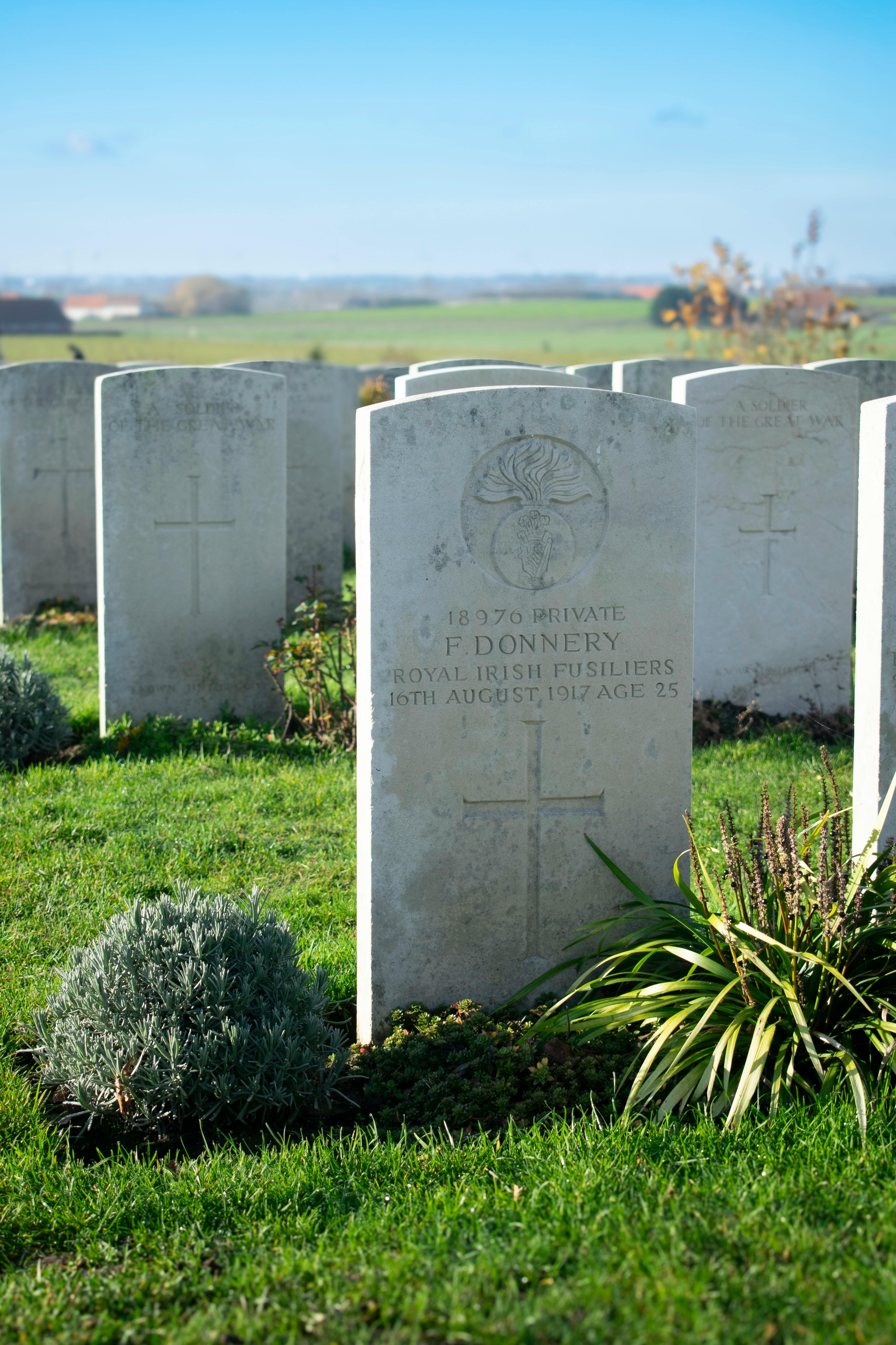 Clash+Royale+Pfp Photos, Download The BEST Free Clash+Royale+Pfp Stock ...