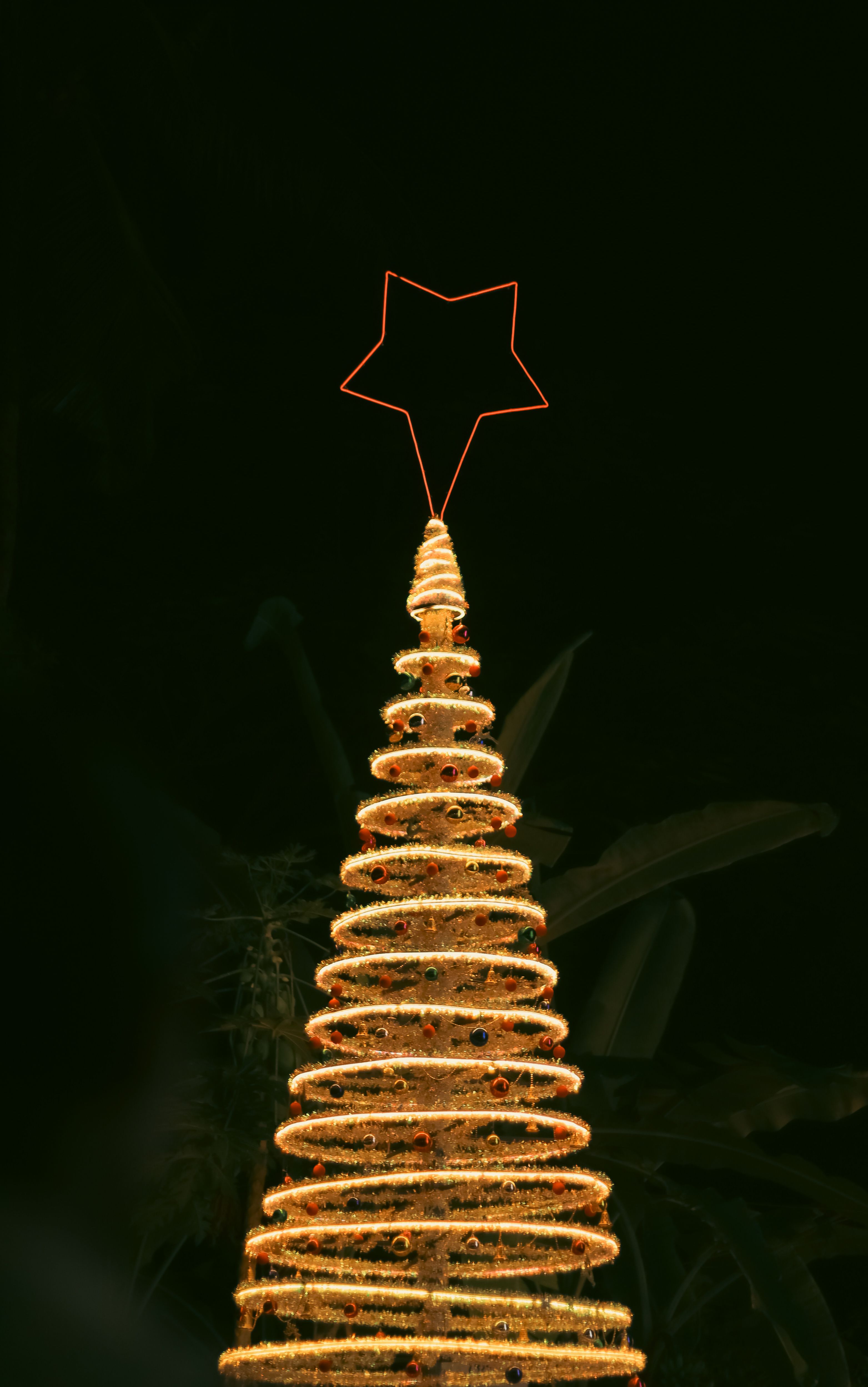 Christmas In India Photos, Download The BEST Free Christmas In India ...