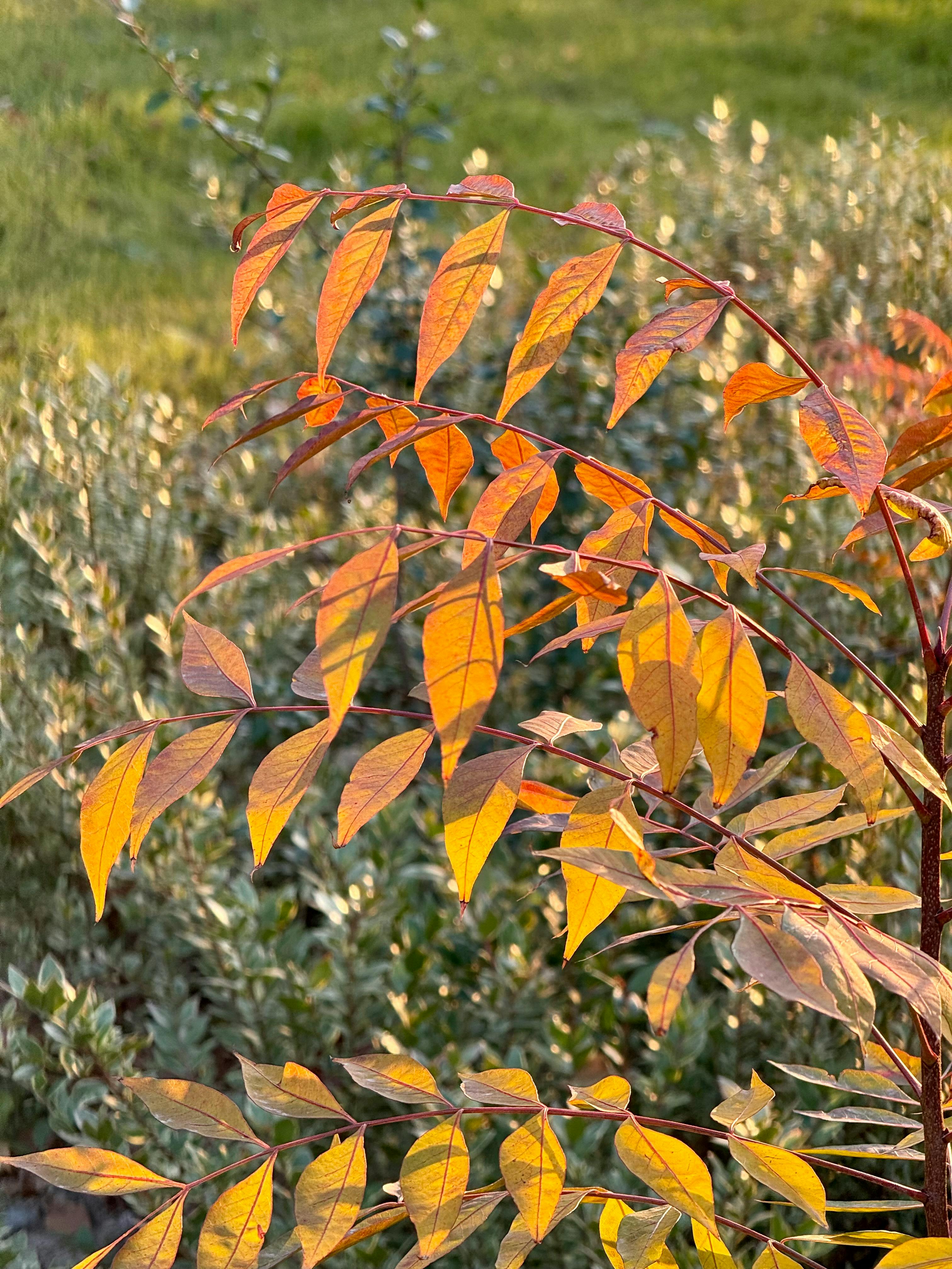 Gun+Park+Wallpaper Photos, Download The BEST Free Gun+Park+Wallpaper ...