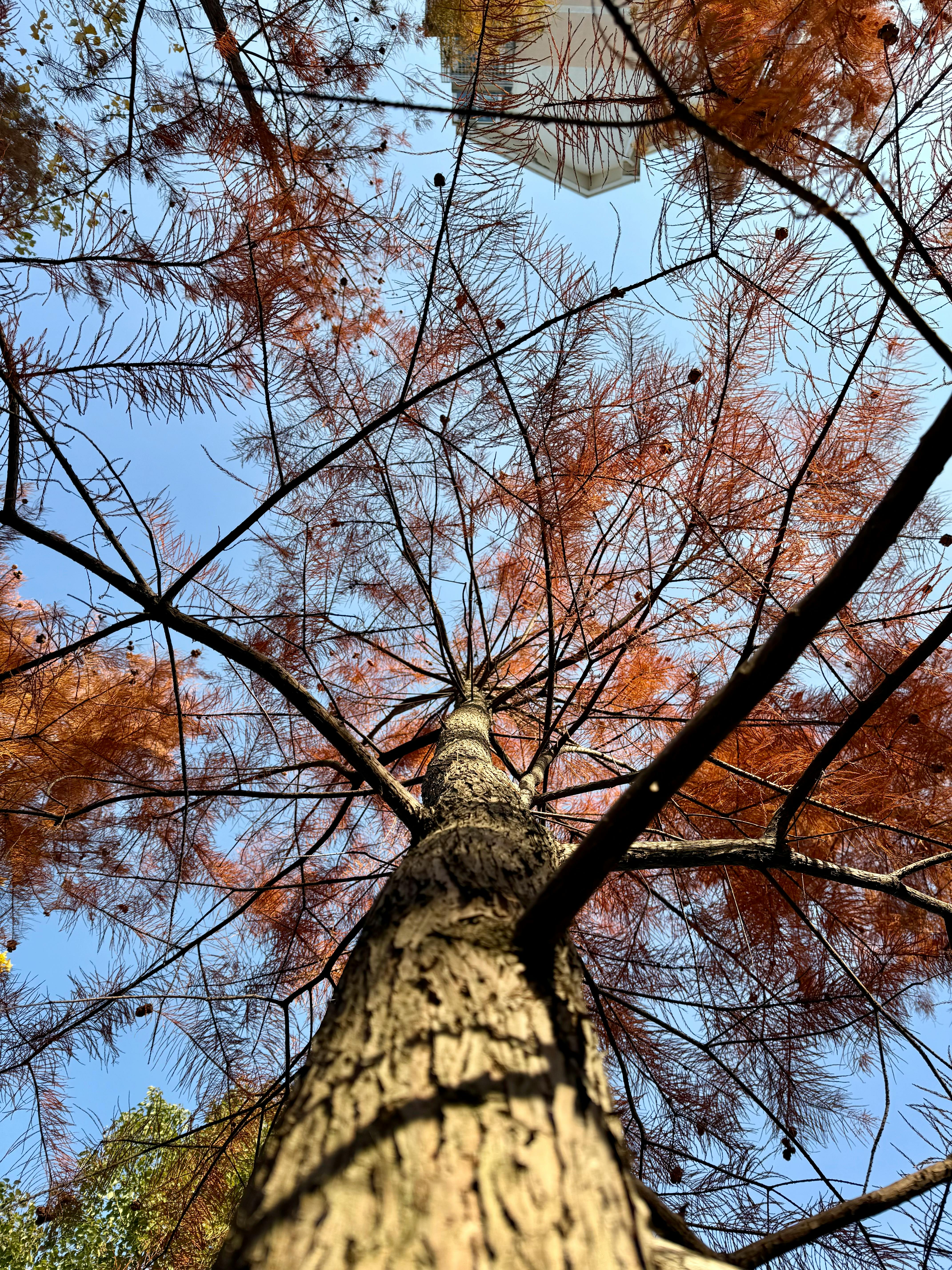 Gun+Park+Wallpaper Photos, Download The BEST Free Gun+Park+Wallpaper ...