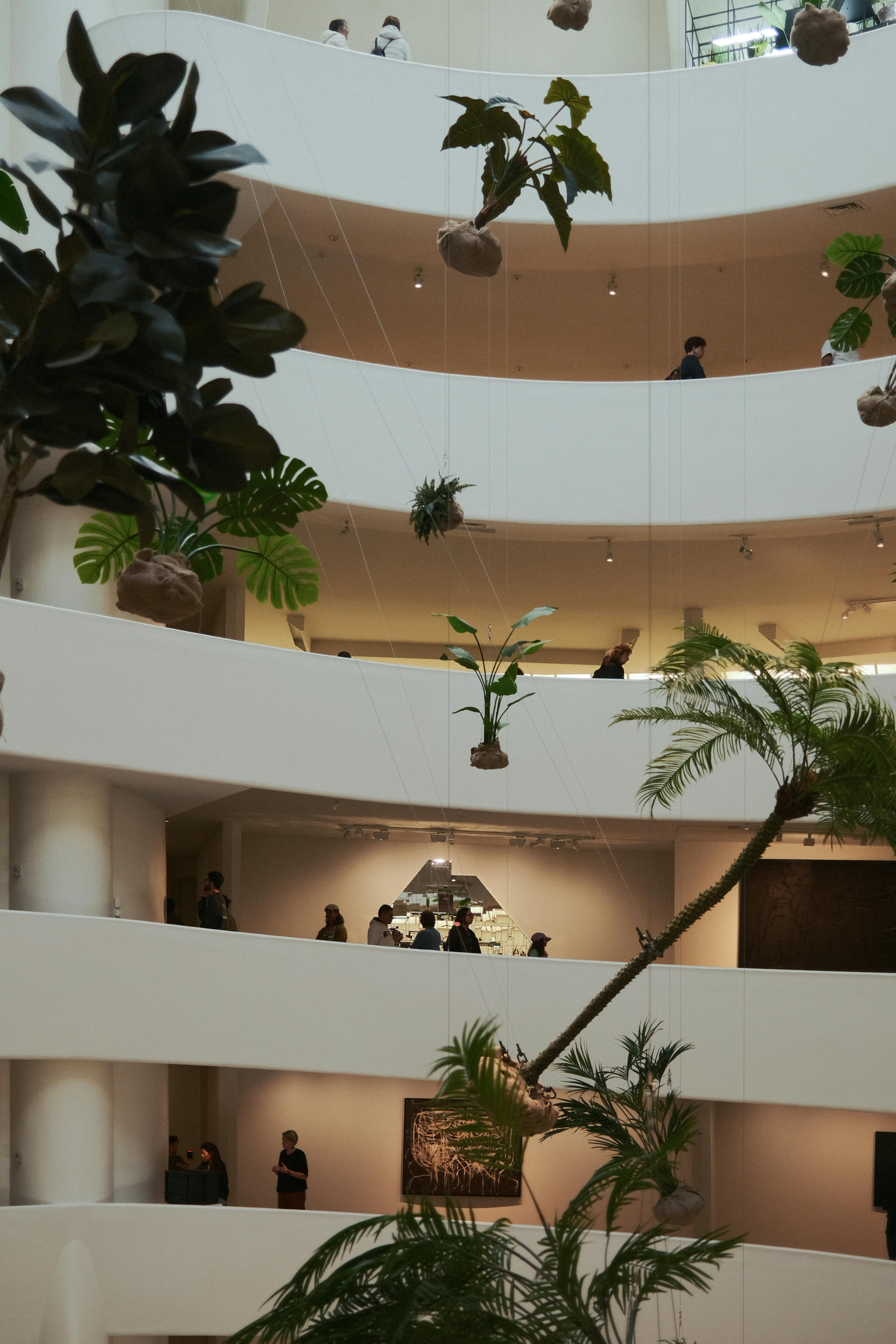 Bearfront+Galleries Photos, Download The BEST Free Bearfront+Galleries ...