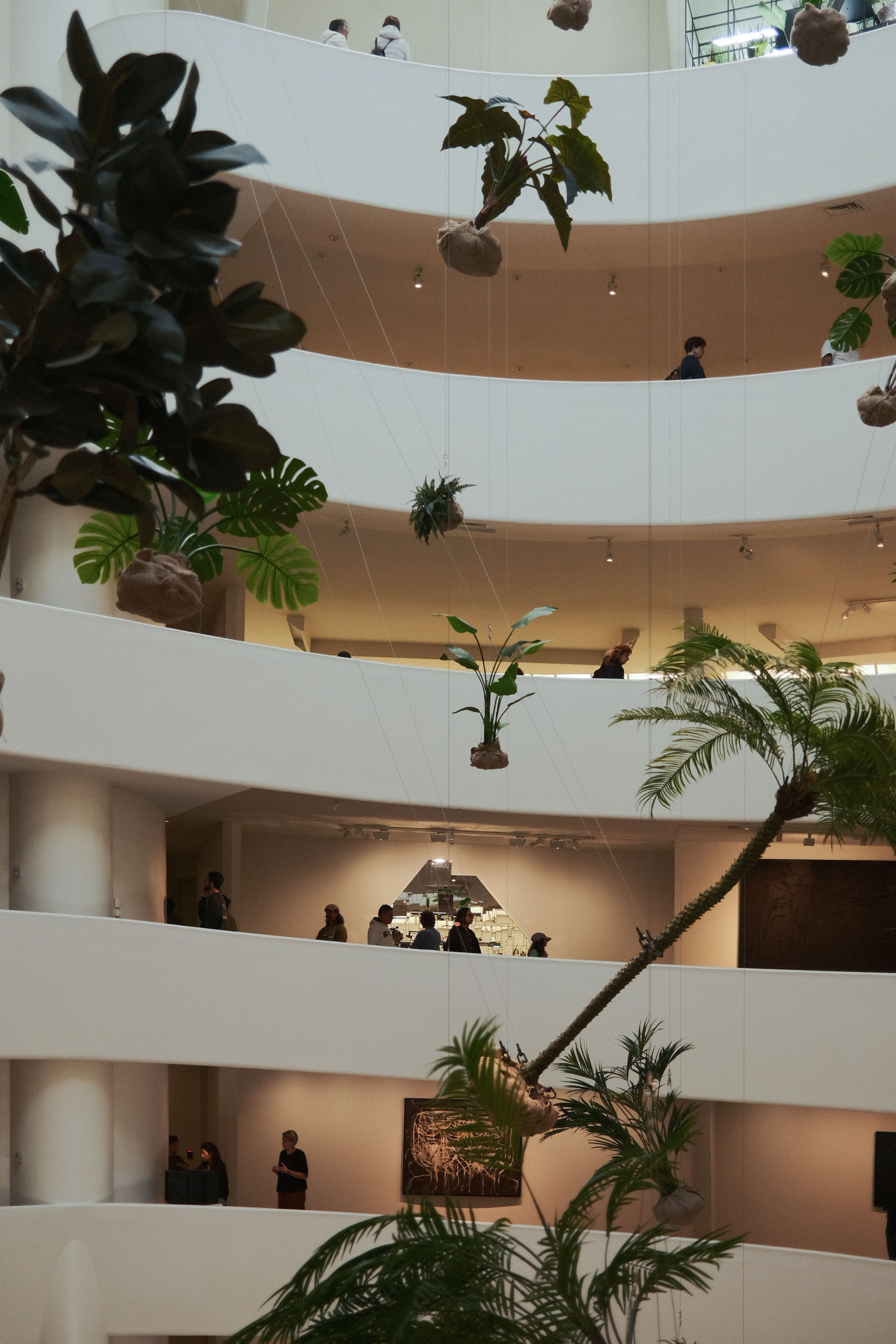 New Museum Photos, Download The BEST Free New Museum Stock Photos & HD ...